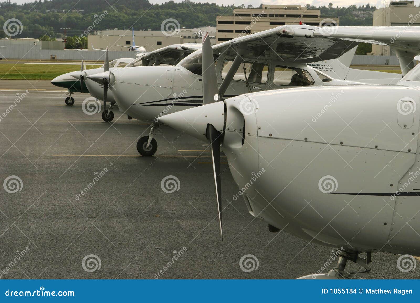 On the Flight Line stock photo. Image of line, propeller - 1055184