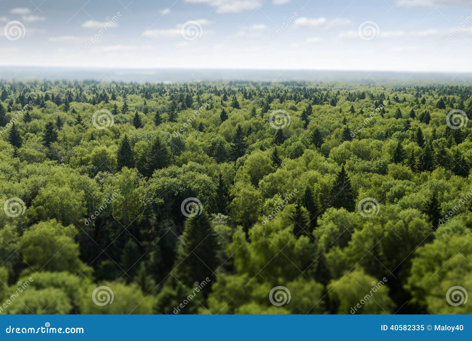 Flight over forest stock image. Image of skyline, view - 40582335