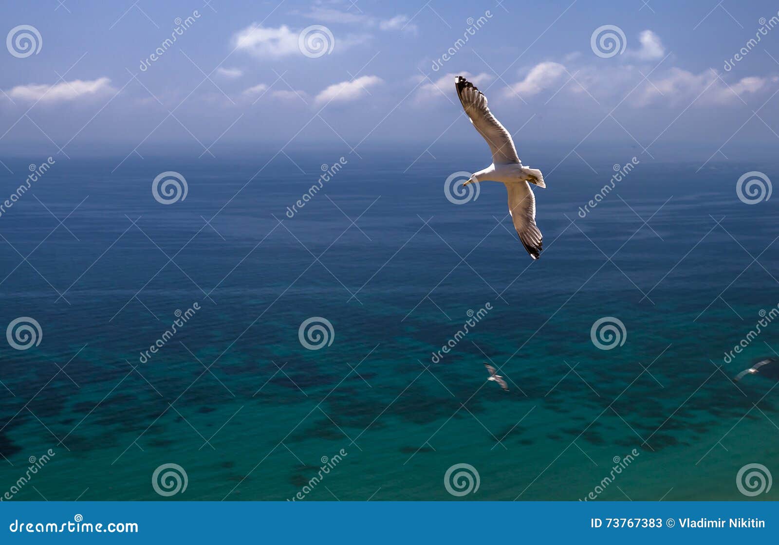 Flight over the ocean stock image. Image of heaven, tall - 73767383