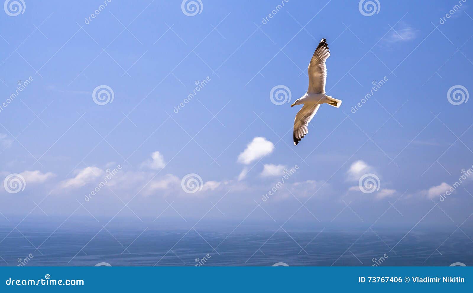 Flight over the ocean stock photo. Image of outdoors - 73767406