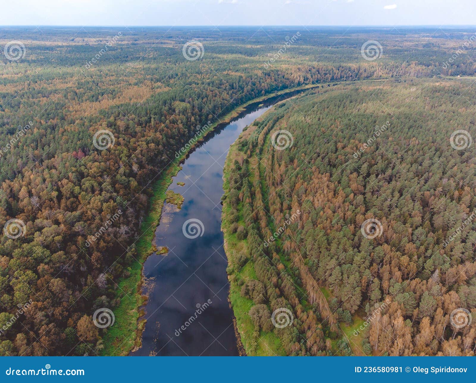 Flight Over the River, River in the Forest from a Bird Eye View Stock ...