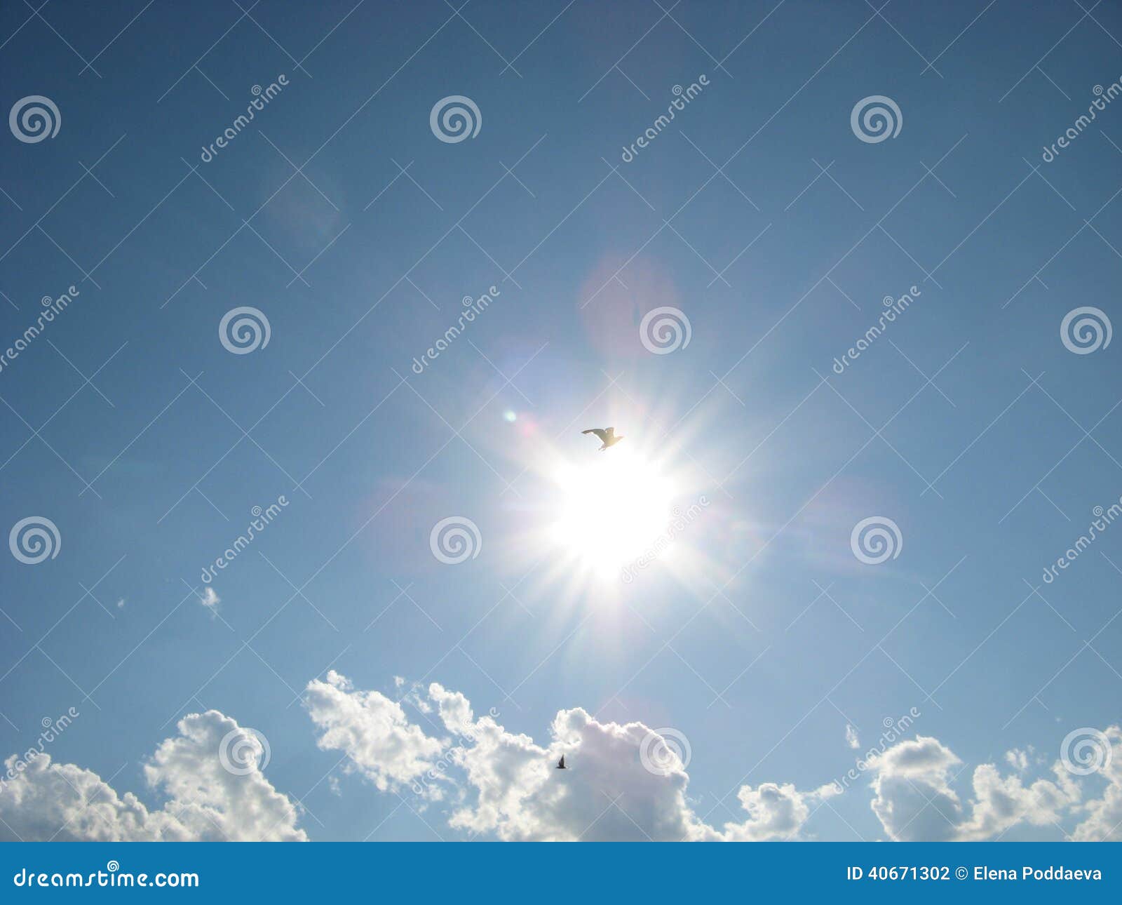 Flight over the sun stock photo. Image of flight, blue - 40671302