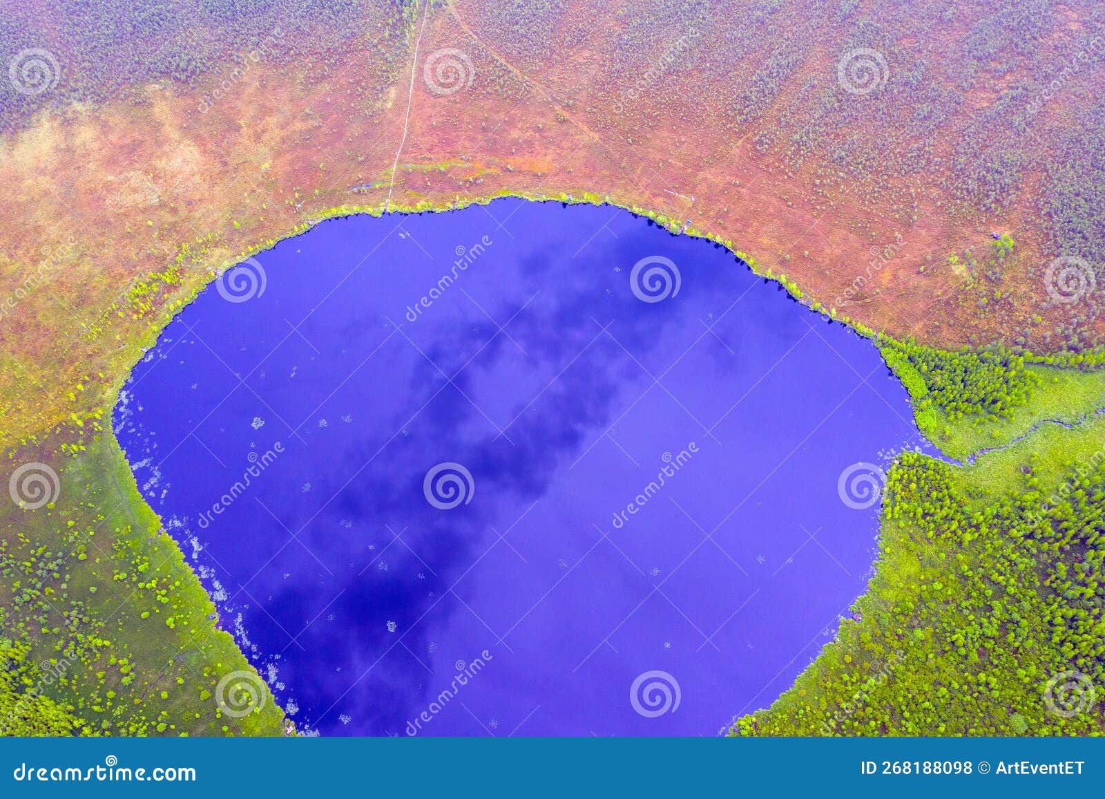 Flight Over the Taiga Blue Forest Lake. View from Above Stock Photo ...