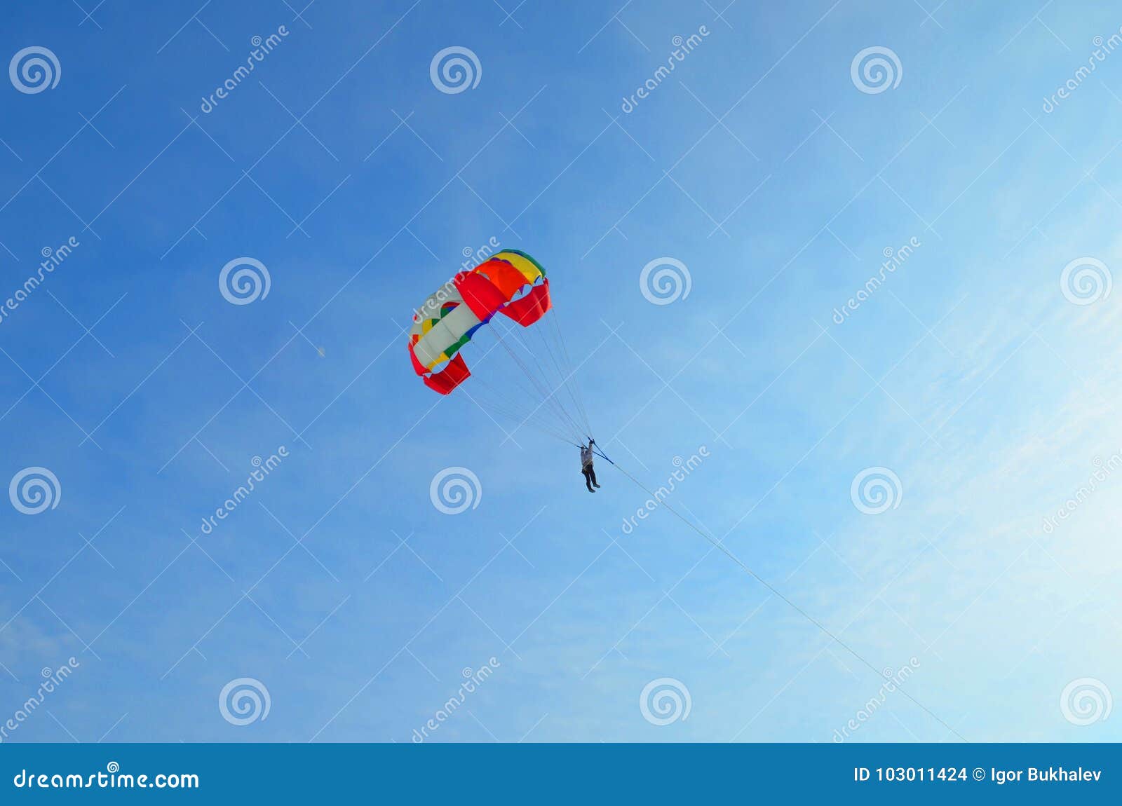 Flight on a parachute stock photo. Image of flight, brave - 103011424