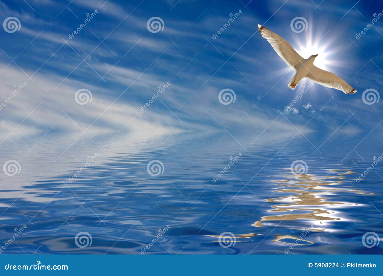 Flight of soul stock photo. Image of blue, spirit, liberty - 5908224