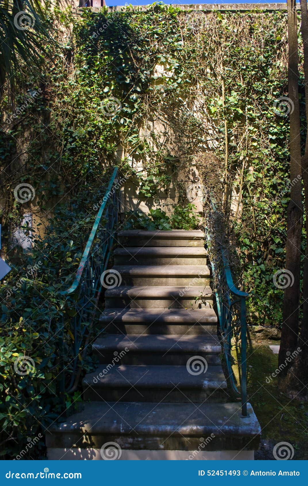 Flight of steps stock image. Image of staircase, scale - 52451493