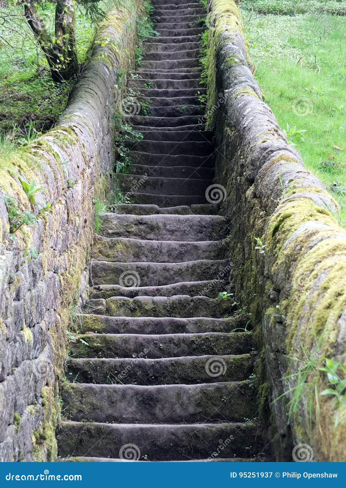 Flight stone stairs stock image. Image of garden, footstep - 95251937
