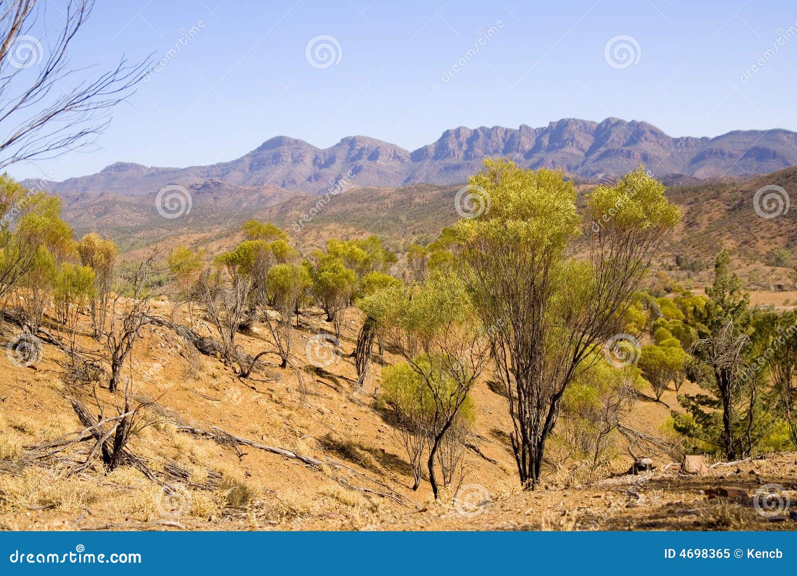 Flinders Ranges stock image. Image of trees, spectacular - 4698365