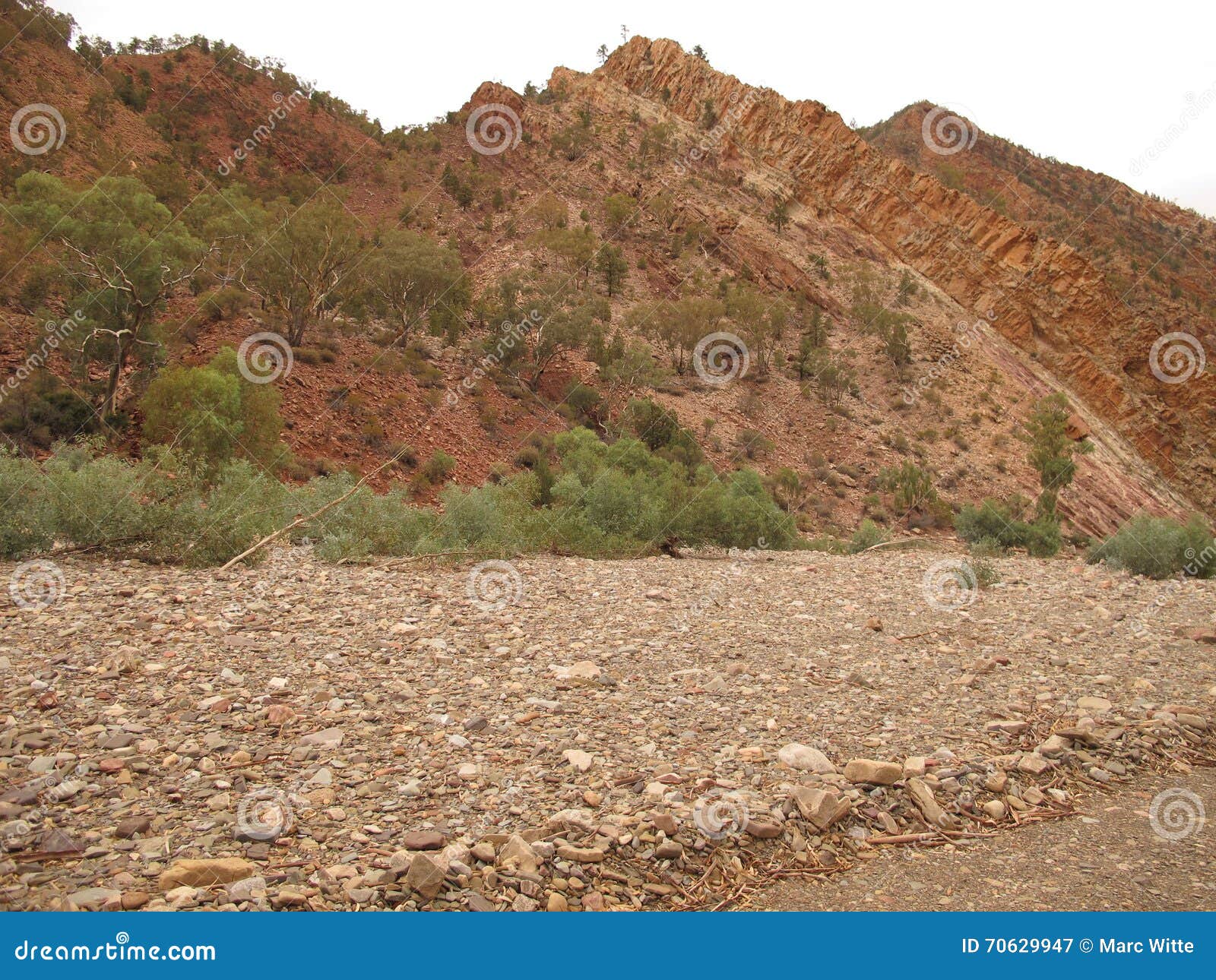 Flinders Ranges, Brachina Gorge, Australia Stock Image - Image of ...