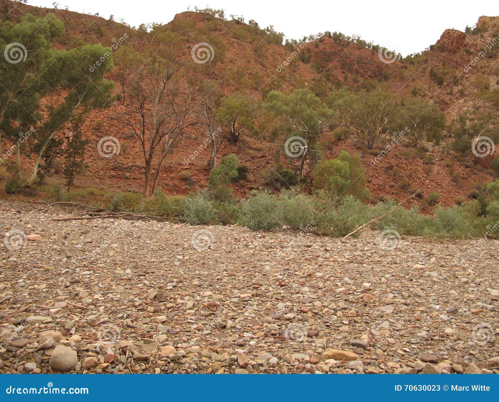 Flinders Ranges, Brachina Gorge, Australia Stock Image - Image of ...