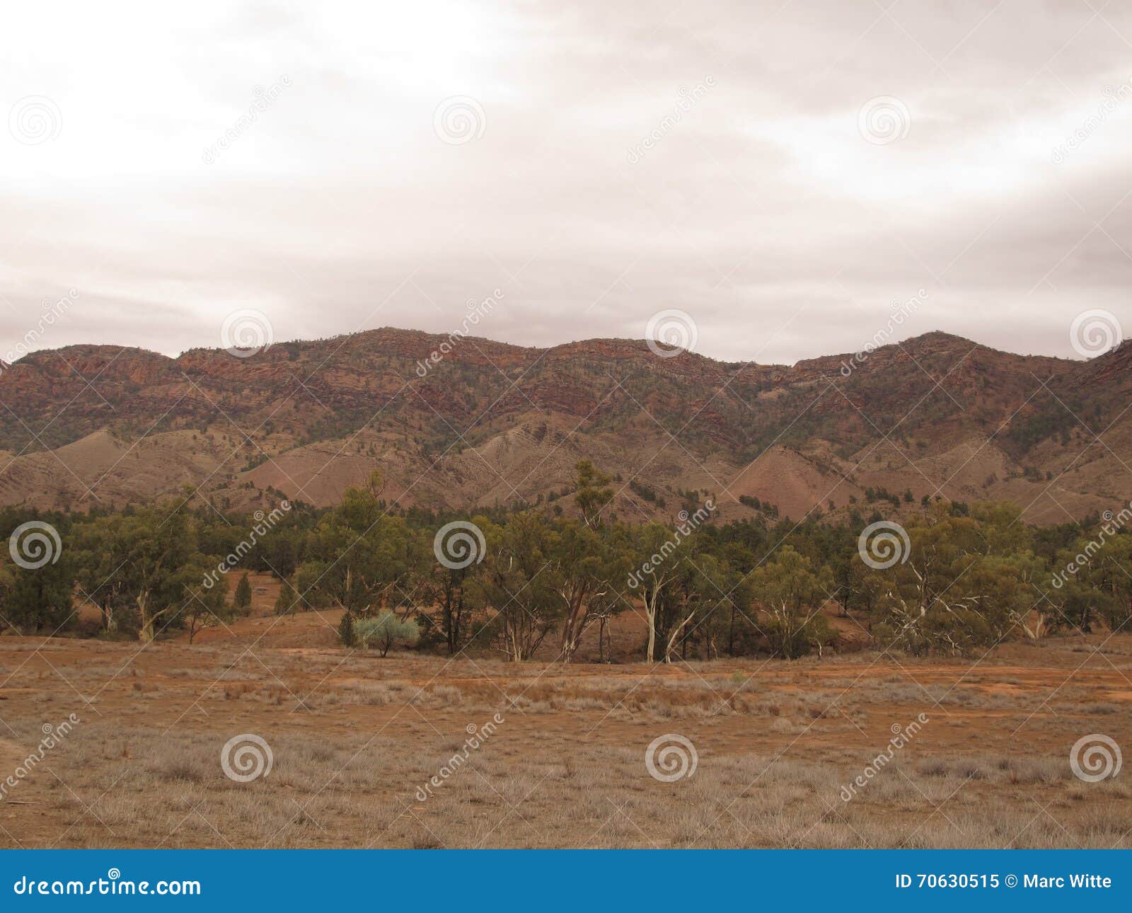 Flinders Ranges, Brachina Gorge, Australia Stock Image - Image of ...