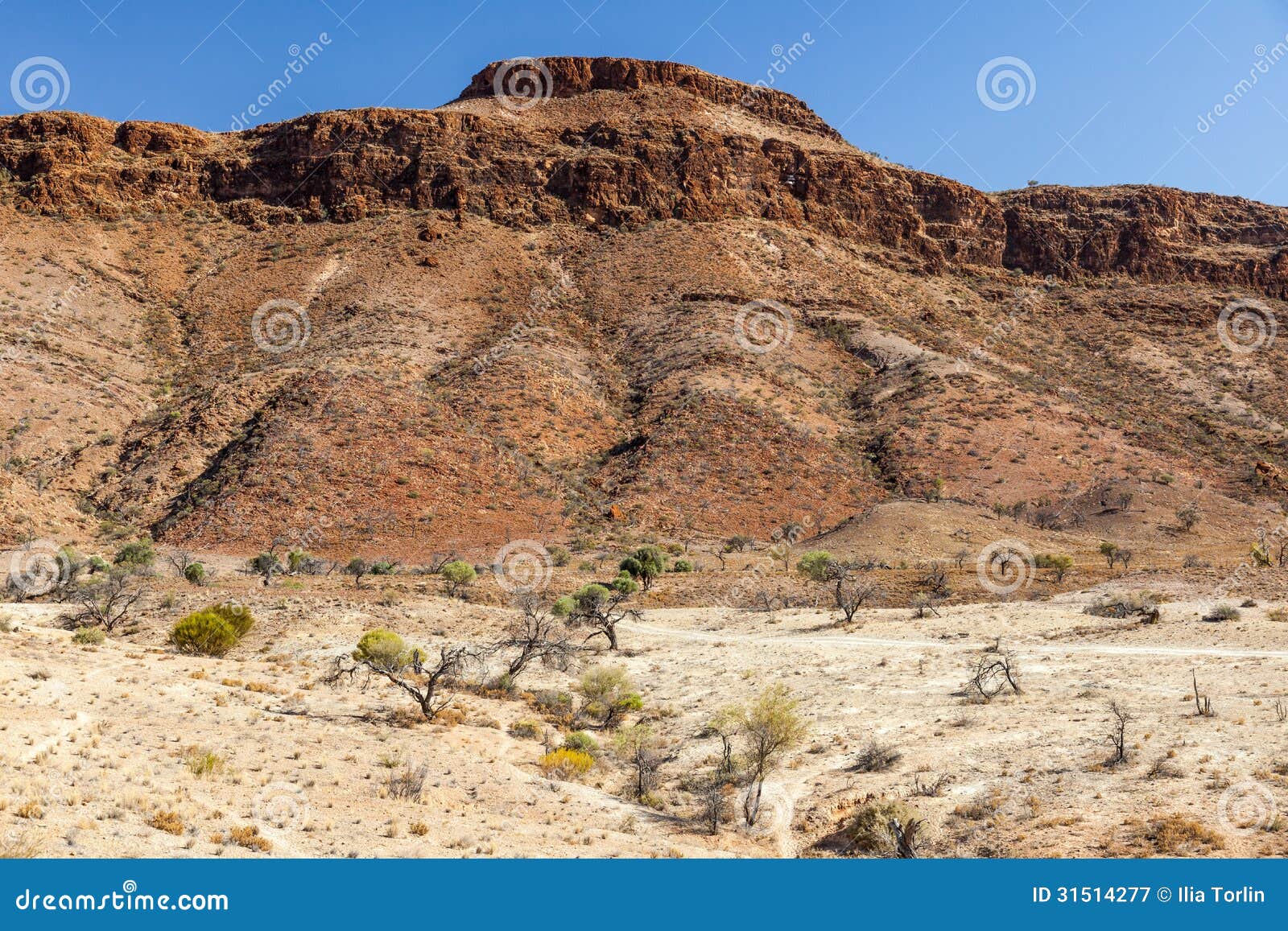 Flinders Ranges Landscape. South Australia. Stock Image - Image of ...