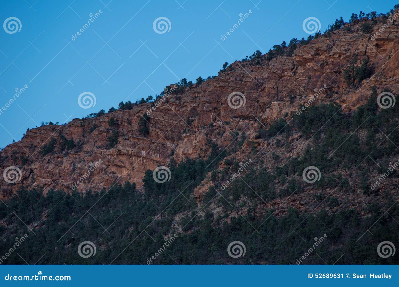 Flinders Ranges 5 stock image. Image of flora, australia - 52689631