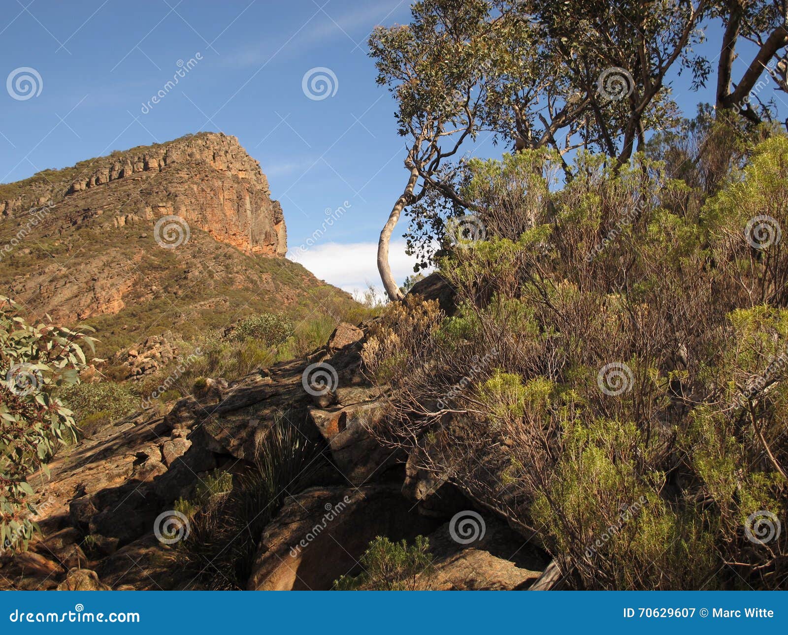 Flinders Ranges, South Australia Stock Image - Image of environment ...