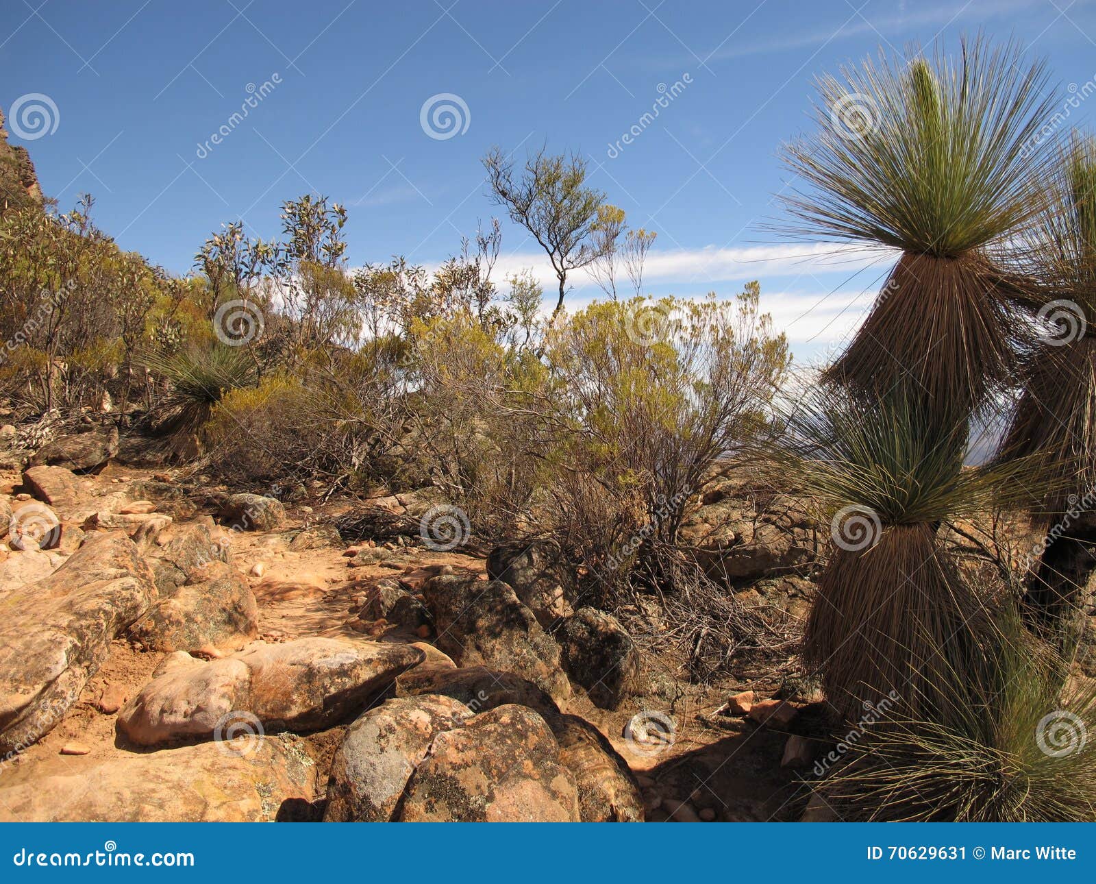 Flinders Ranges, South Australia Stock Image - Image of australia ...