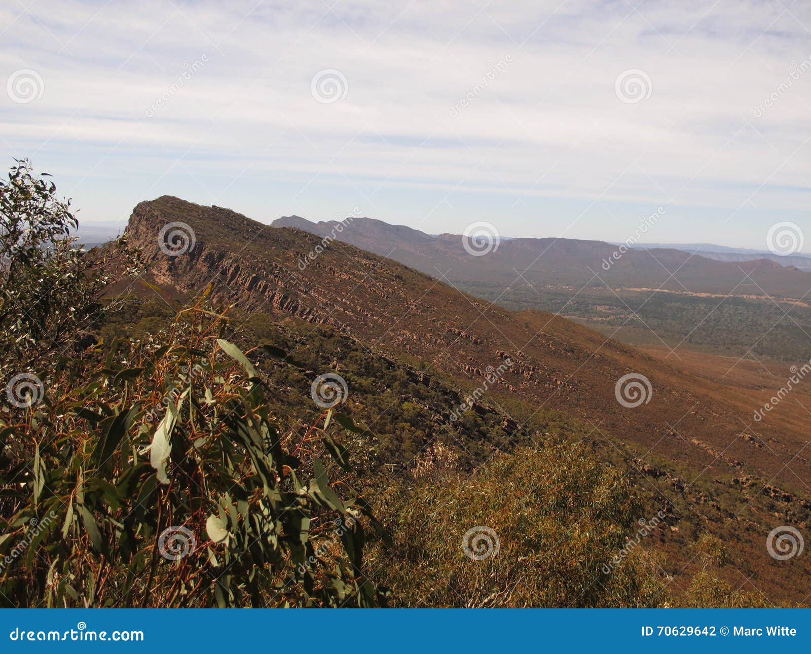 Flinders Ranges, South Australia Stock Photo - Image of national, large ...