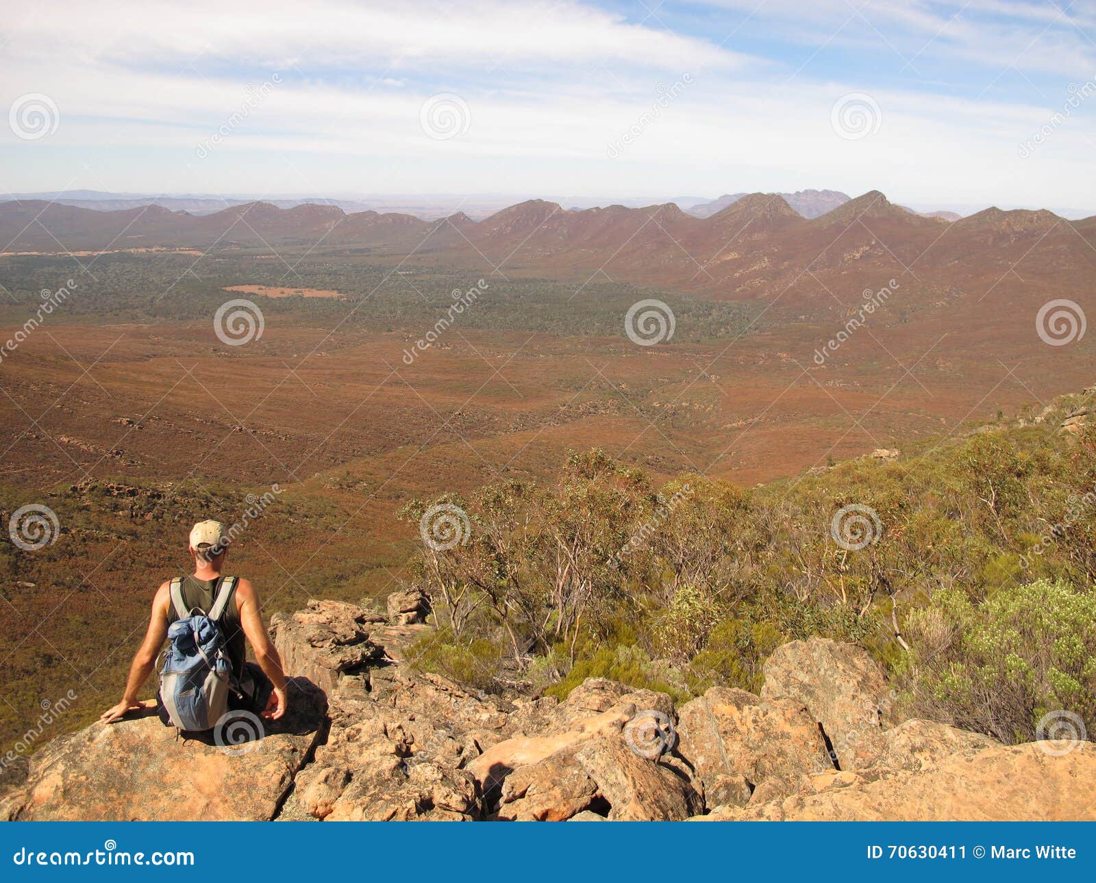 Flinders Ranges, South Australia Stock Image - Image of coolibah ...