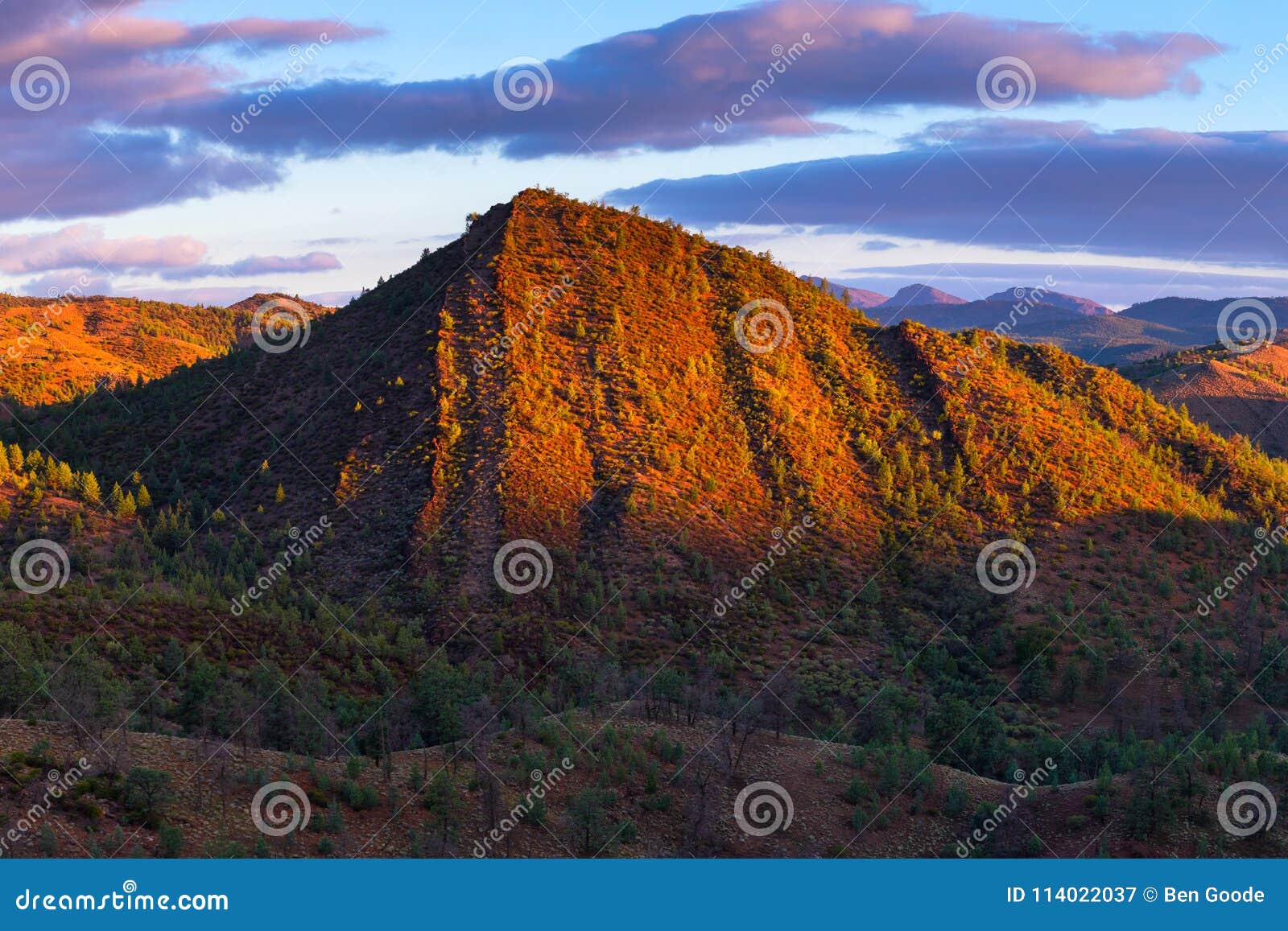 Razorback Ridge stock image. Image of scenic, ranges - 114022037