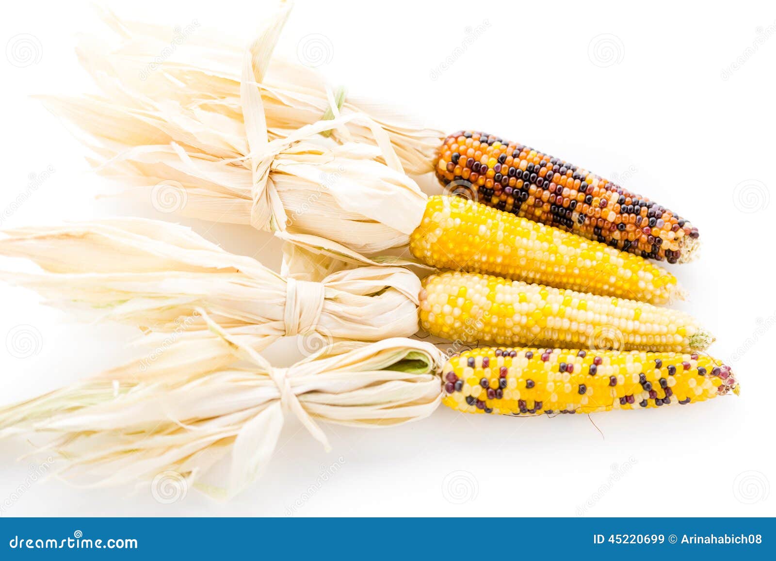 Flint corn stock image. Image of holiday, autumn, pagan - 45220699