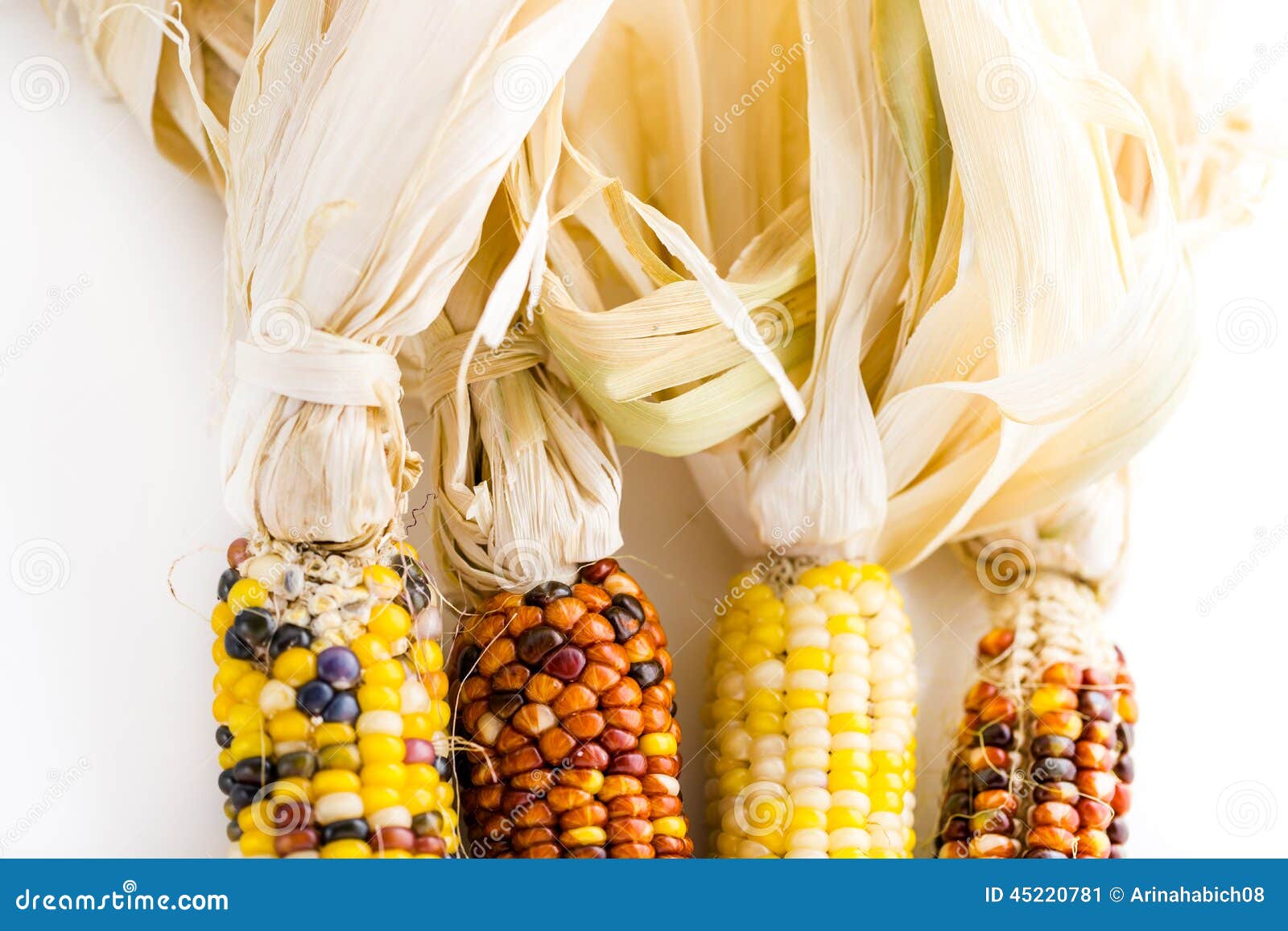Flint corn stock image. Image of mielie, food, corn, healthy - 45220781