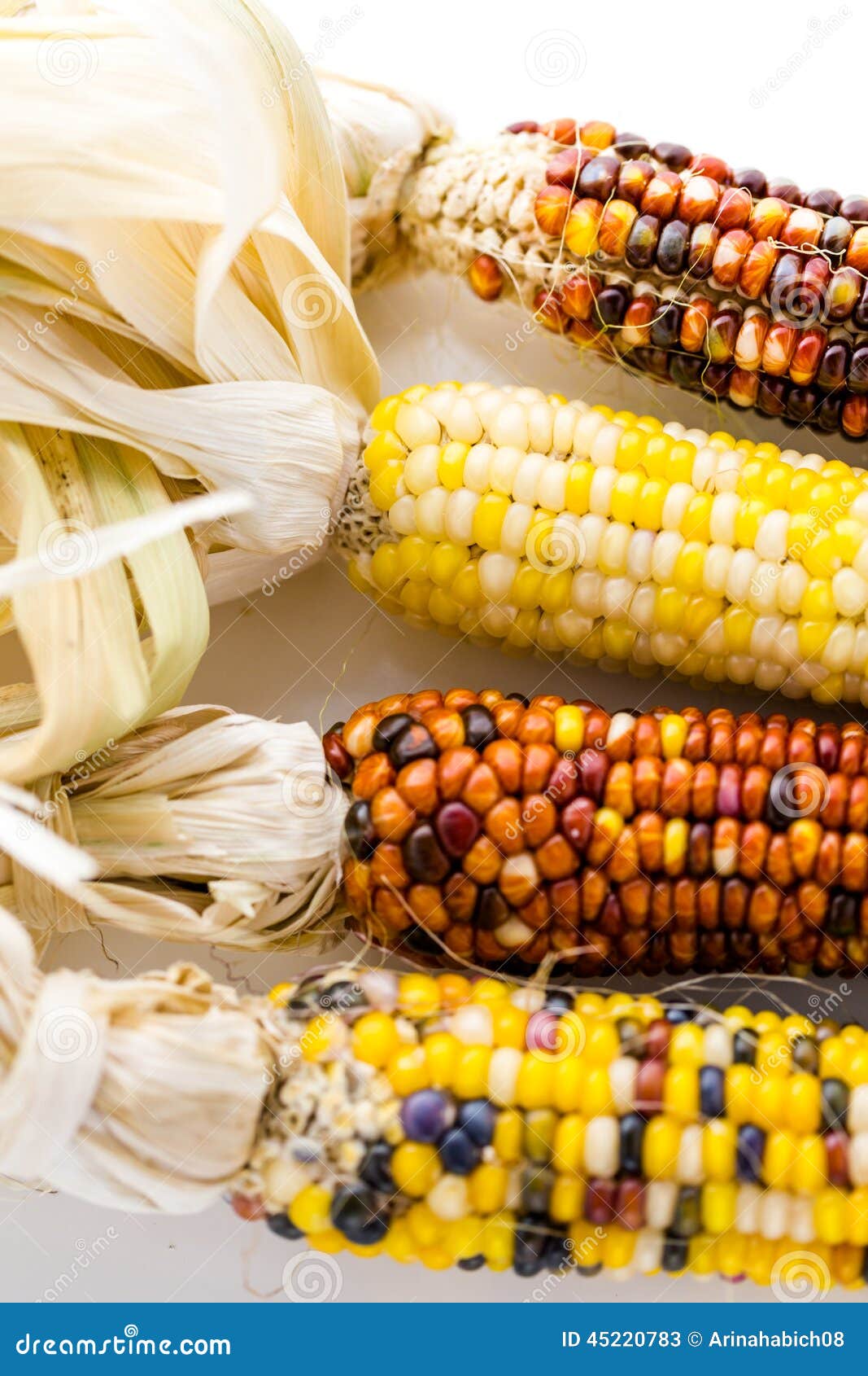 Flint corn stock image. Image of halloween, hallows, festival - 45220783