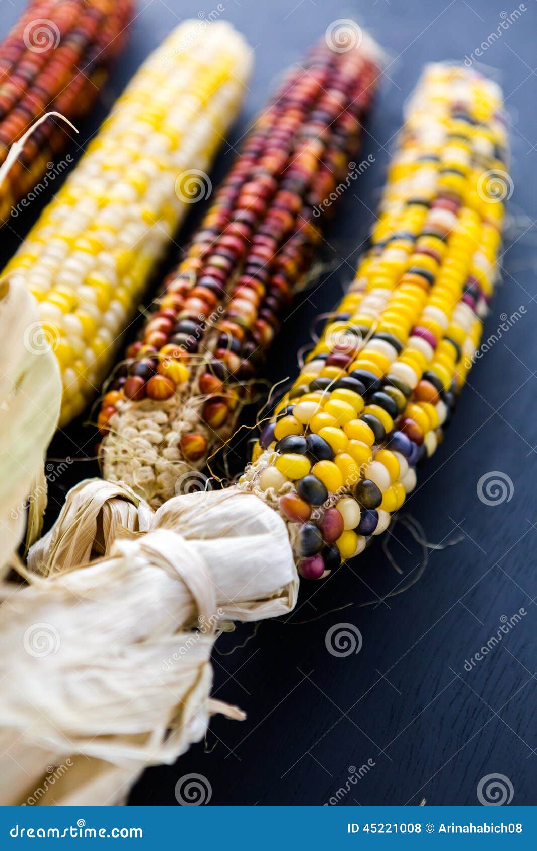 Flint corn stock photo. Image of food, organic, colored - 45221008