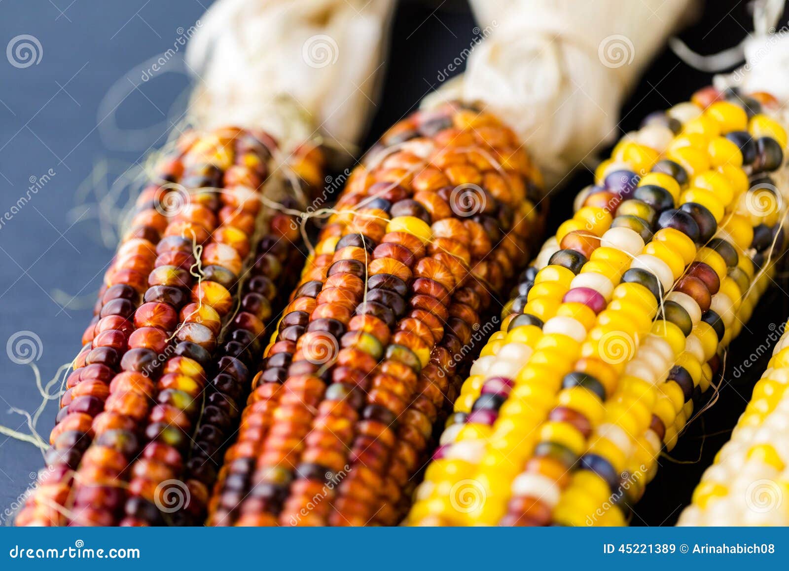 Flint corn stock image. Image of pagan, halloween, nutrition - 45221389