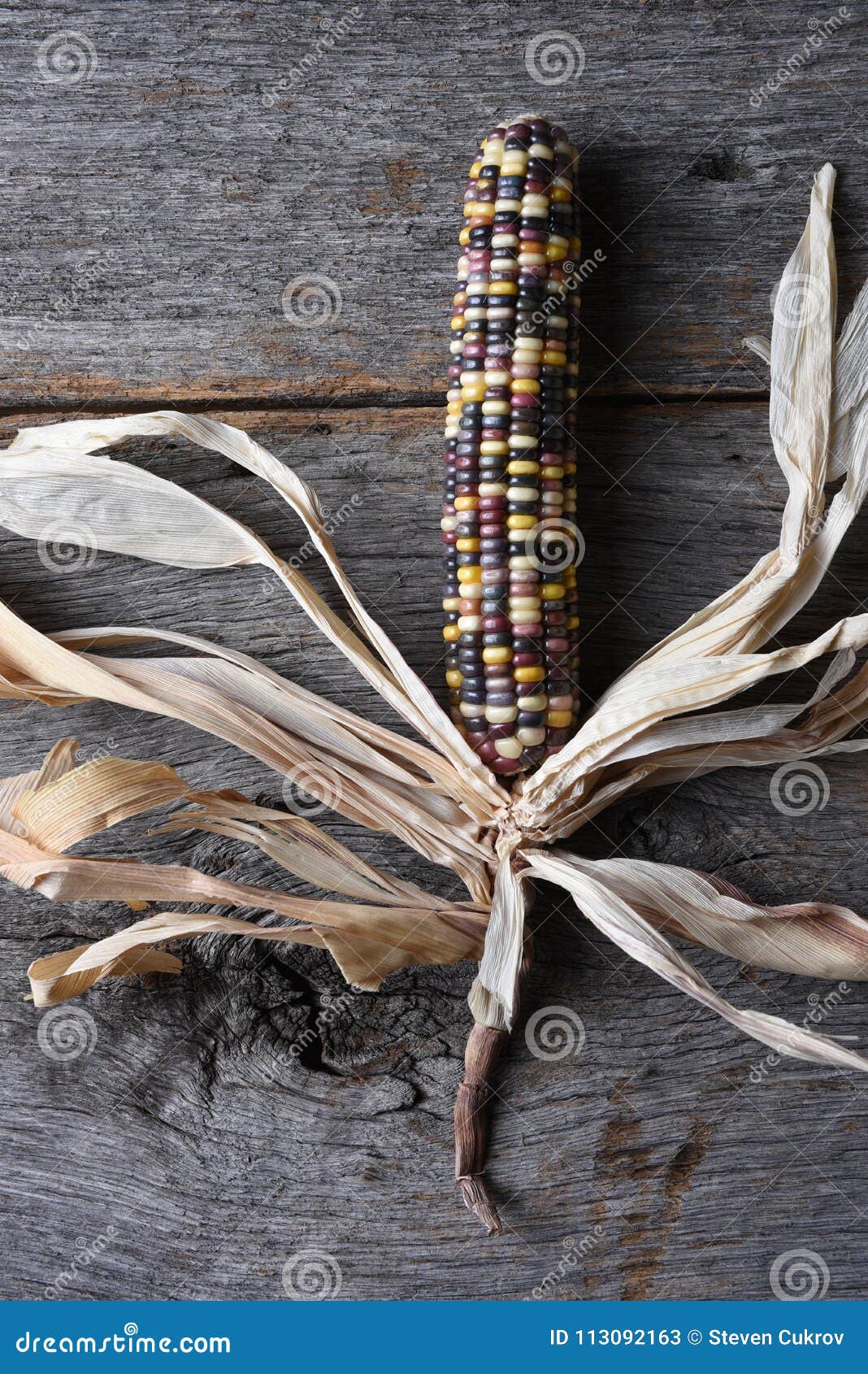 Flint Corn on Rustic Wood Table Stock Image - Image of holiday, food ...