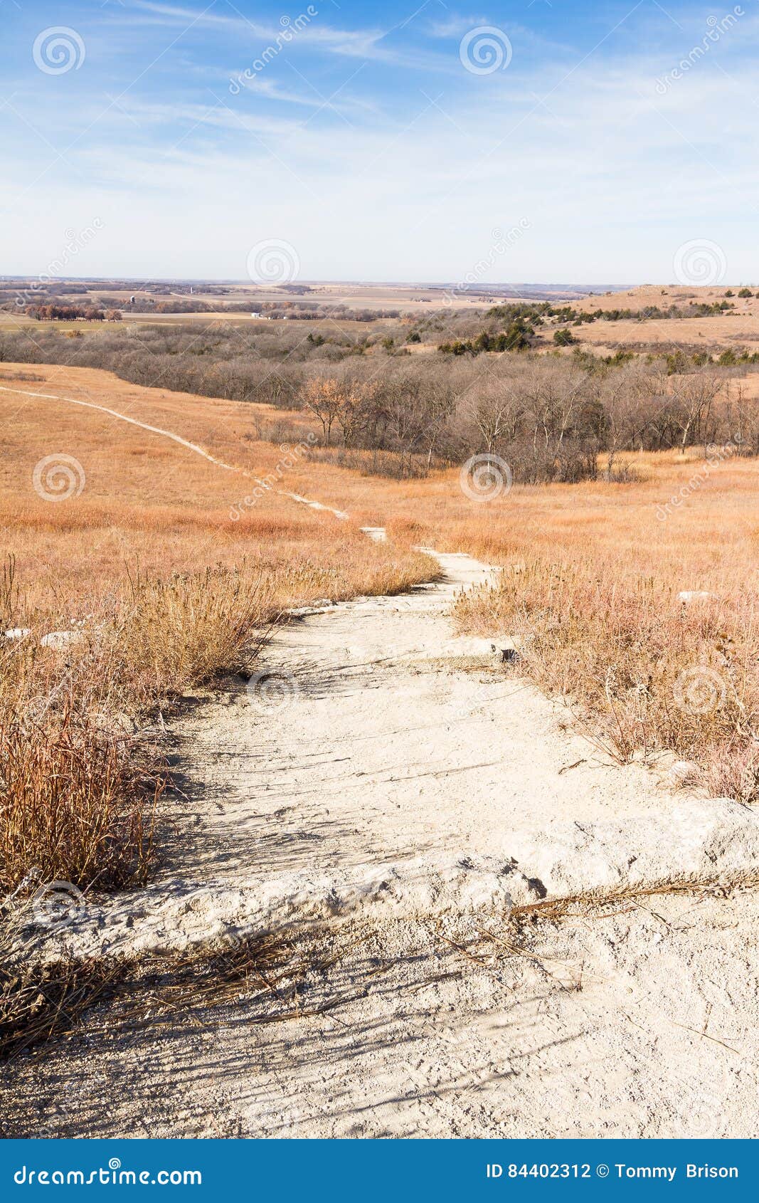 Flint Hills Prairie Path in Kansas Stockfoto - Bild von frech ...