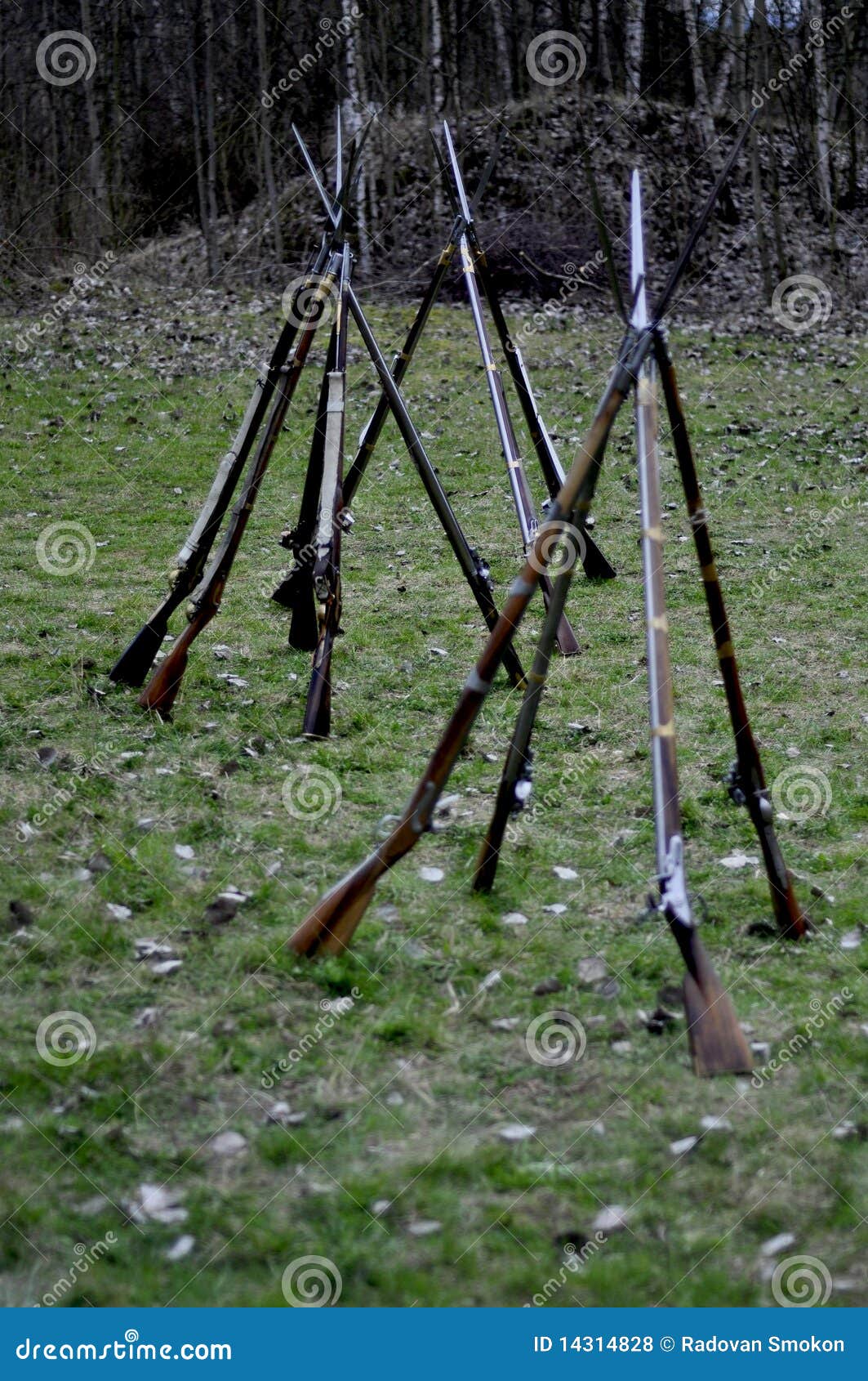Flintlock rifle with stock photo. Image of trigger, barrel - 14314828