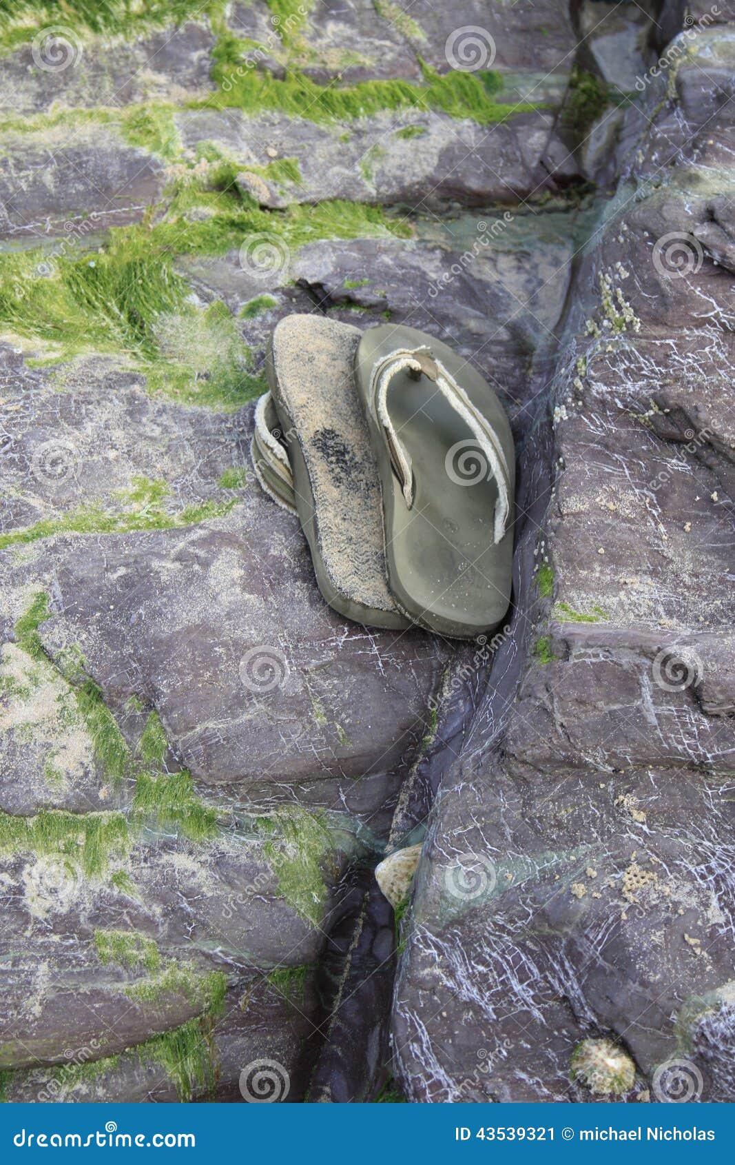 Flip Flops Discarded on a Beach Rock Stock Image - Image of stunning ...