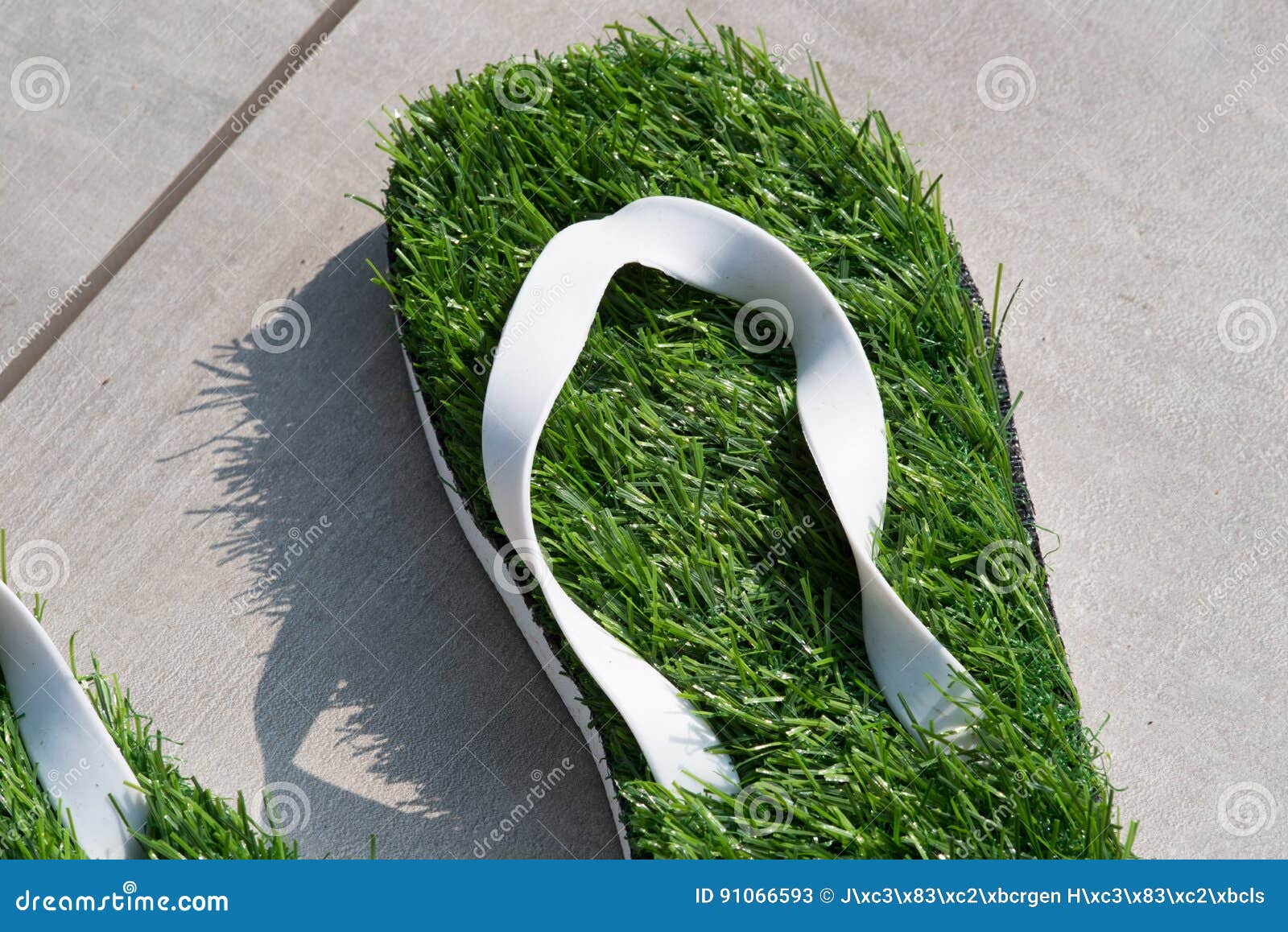 Flip Flops with Green Grass Sole Stand in the Sun Stock Image - Image ...