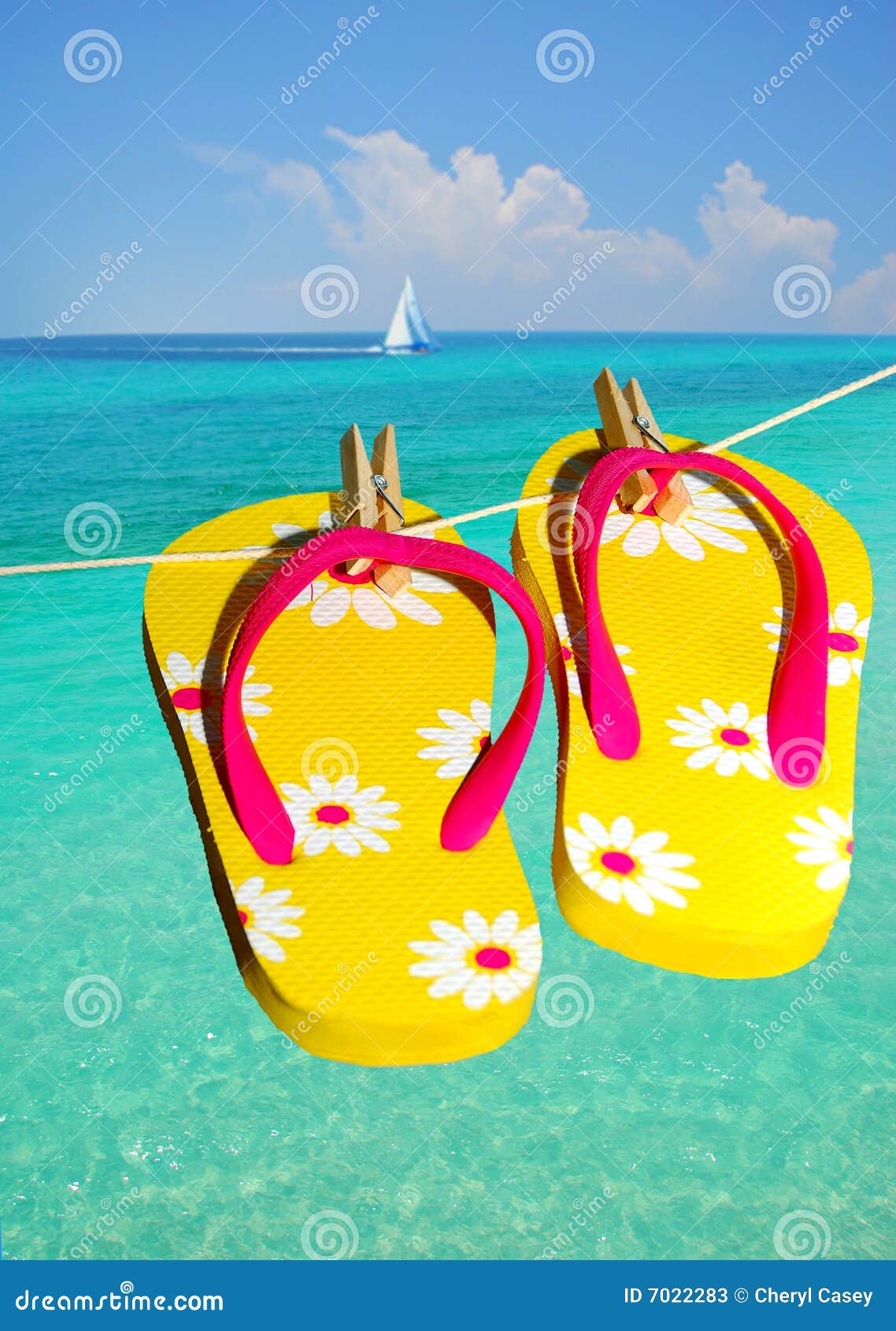 Flip flops at ocean stock image. Image of hanging, flip - 7022283