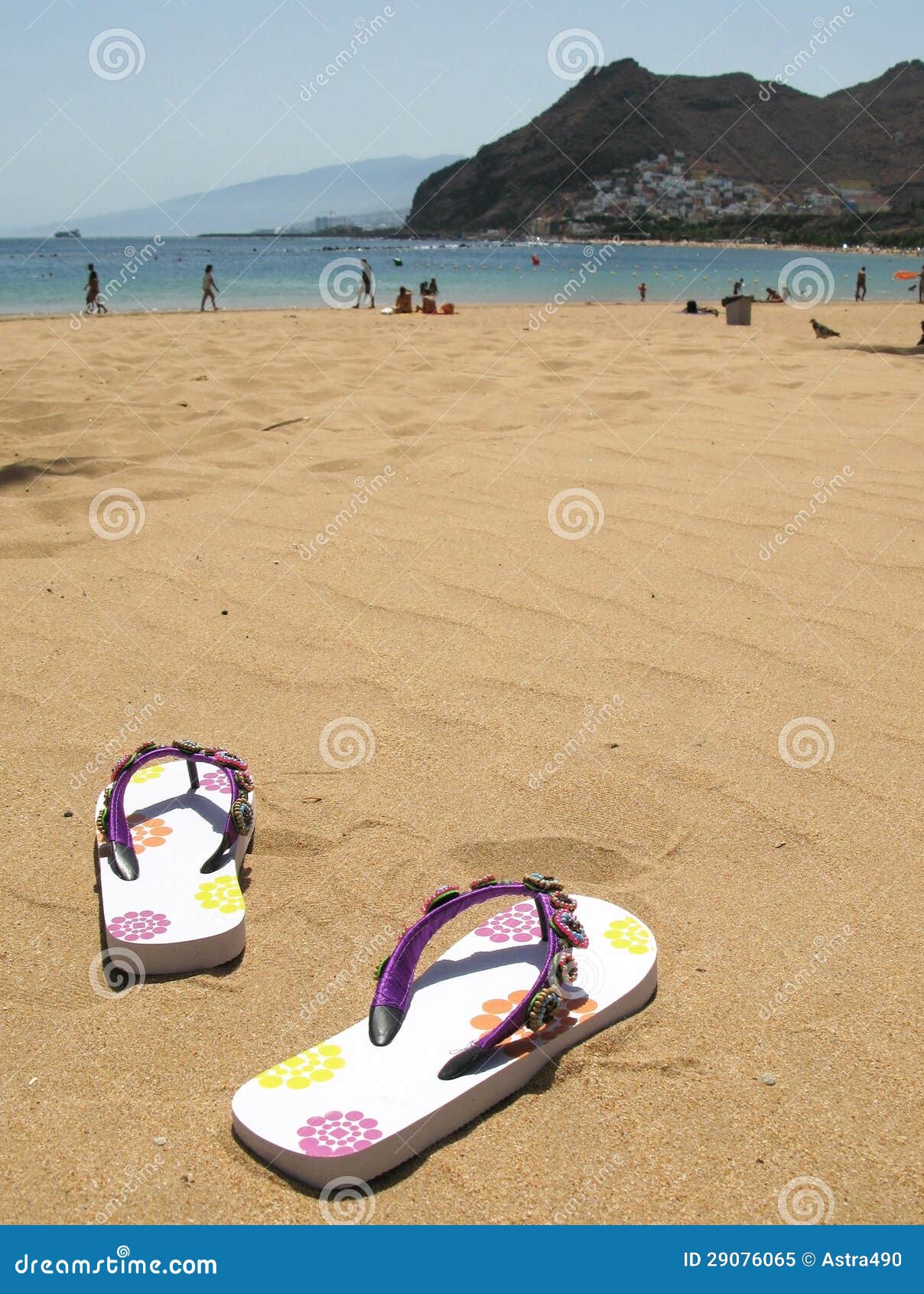 Flip-flops in the sand stock image. Image of desert, flower - 29076065