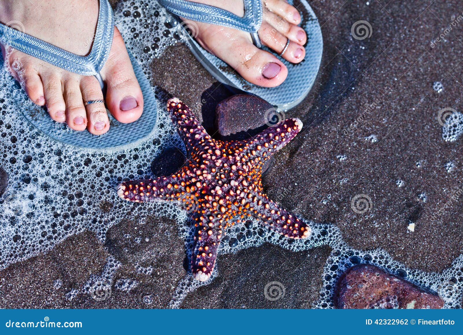 Flipflops and the Starfish stock photo. Image of loreto - 42322962