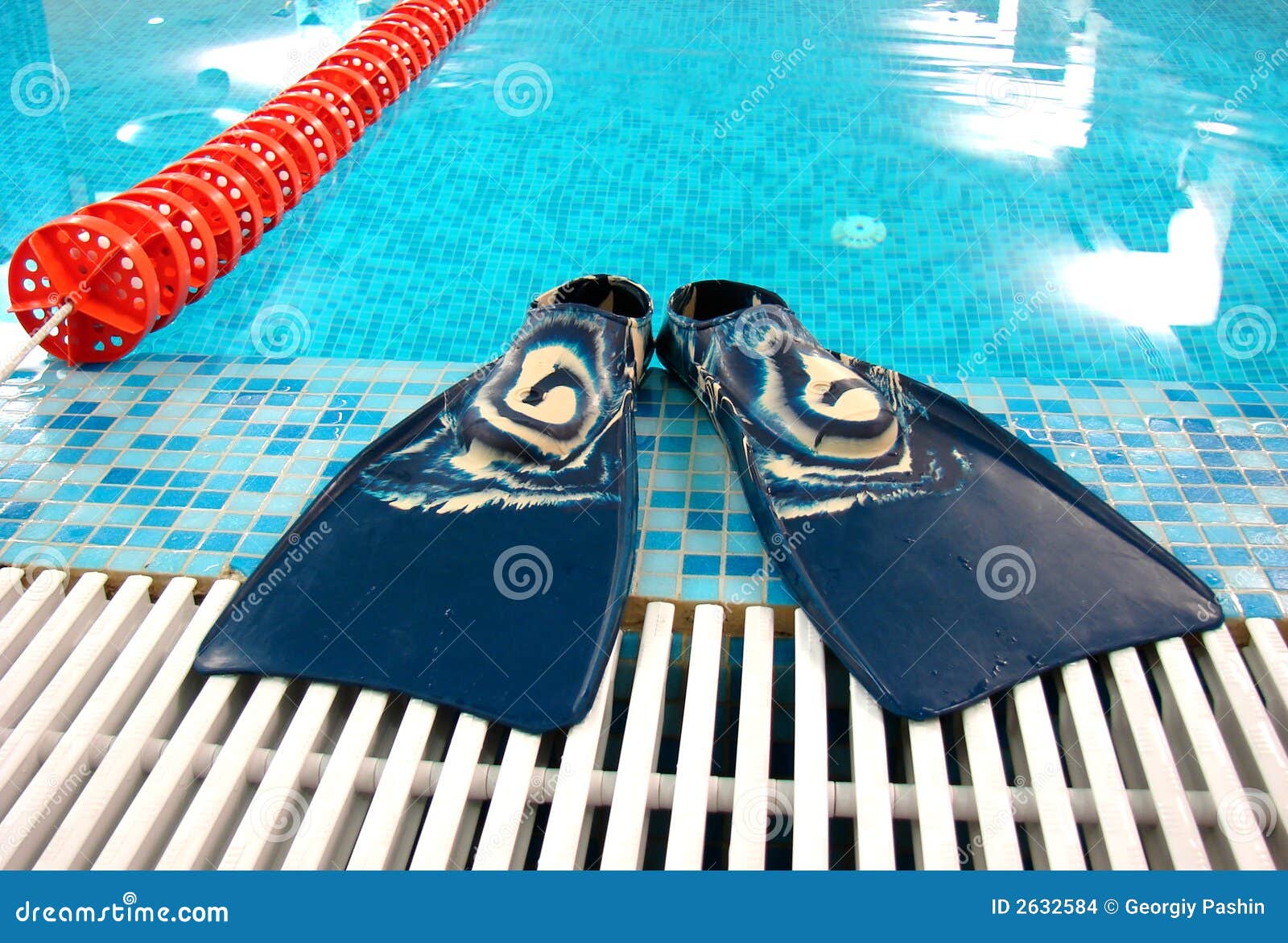 Flipper Mit Schwimmenweg Bild. Bild: 2632584