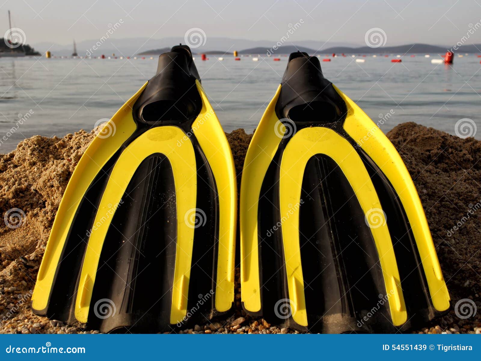 The flipper stock image. Image of diving, hobby, tropical - 54551439