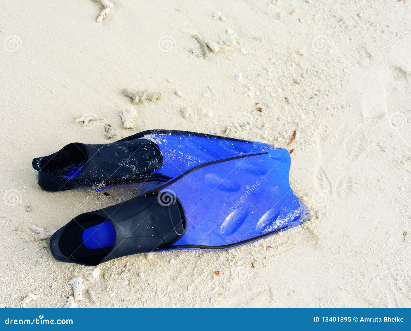Flipperes on Beach stock image. Image of flippers, bright - 13401895