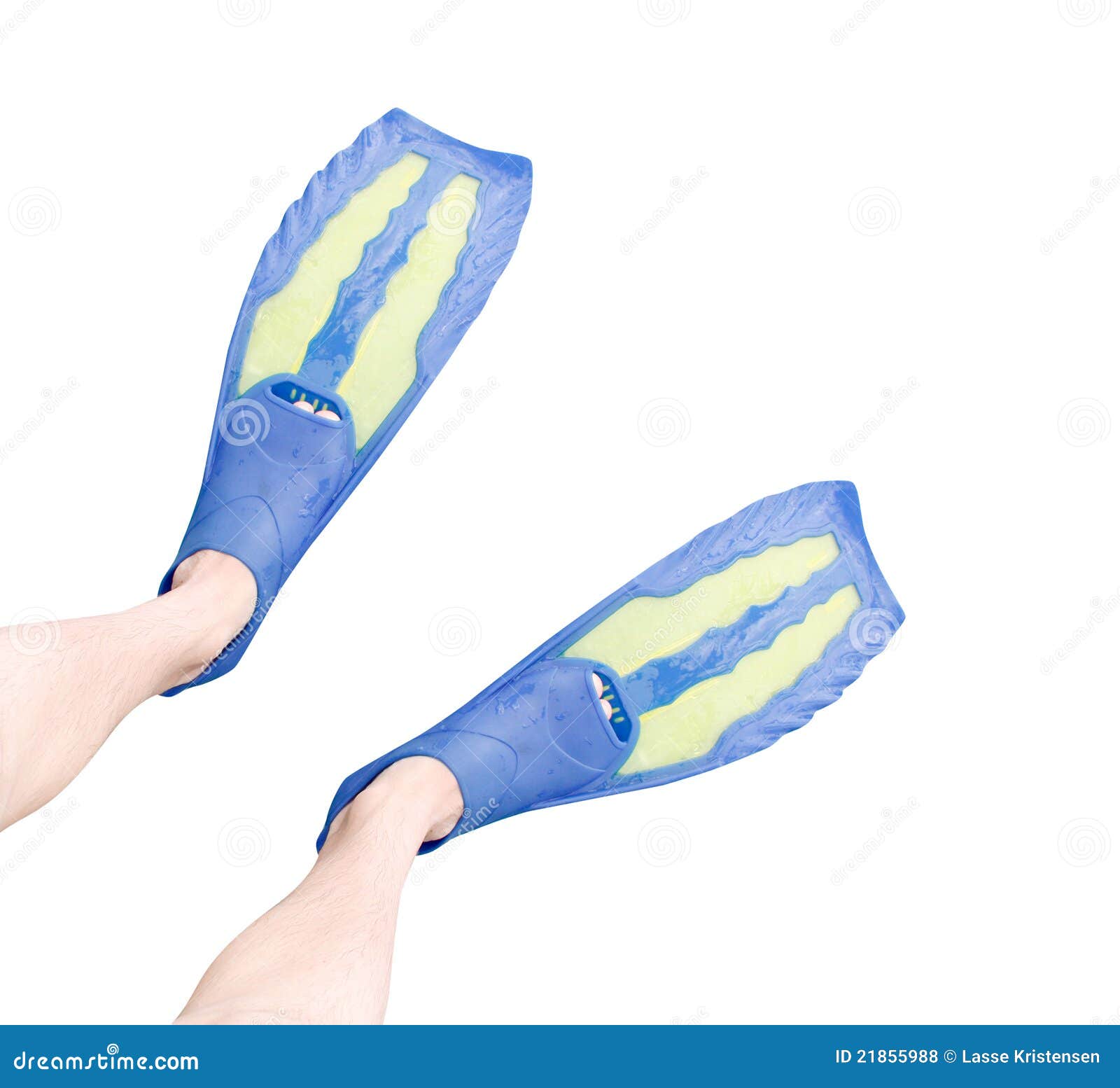 Flippers stock photo. Image of adventure, footwear, flippers - 21855988