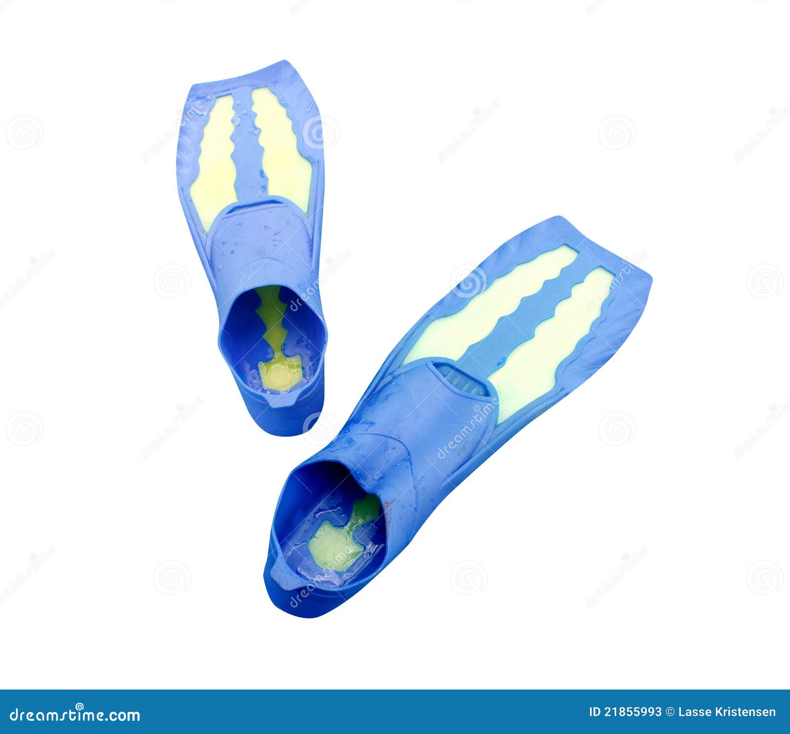 Flippers stock image. Image of pair, feet, exercise, leisure - 21855993