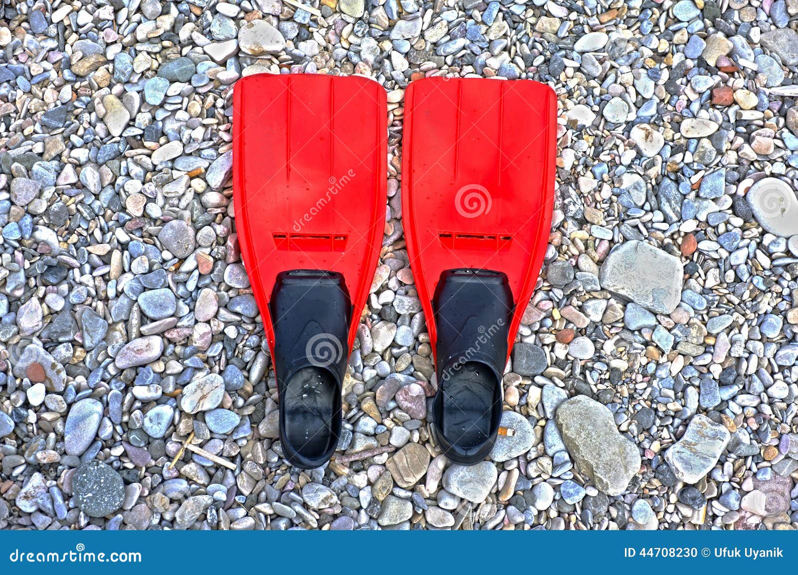 Flippers on the beach stock photo. Image of ocean, beach - 44708230