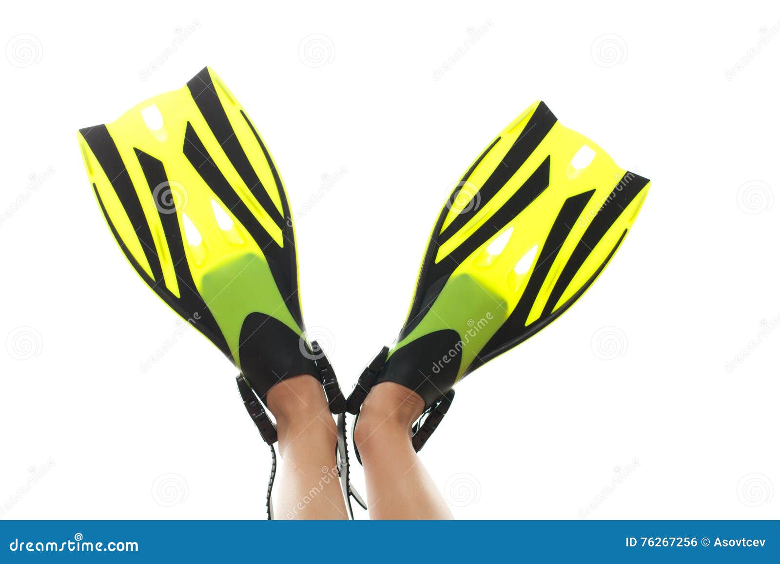 Flippers on the Feet Isolated Stock Photo - Image of holiday, dream ...