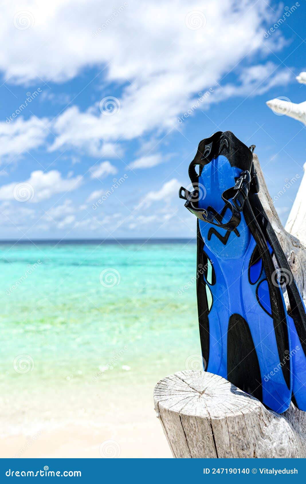 Flippers on the Shore of the Indian Ocean Stock Photo - Image of ...
