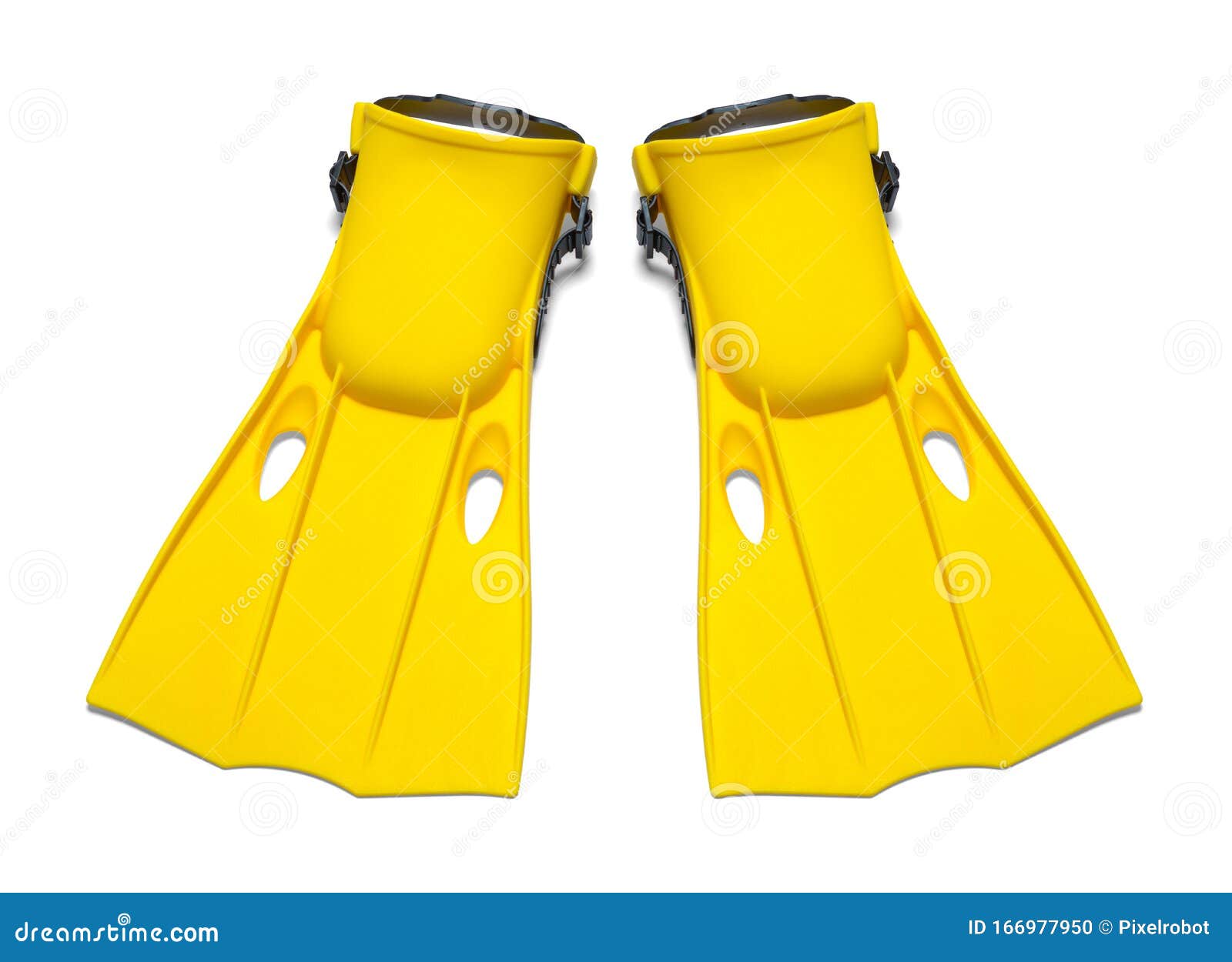 Flippers Stock Photography | CartoonDealer.com #166977950