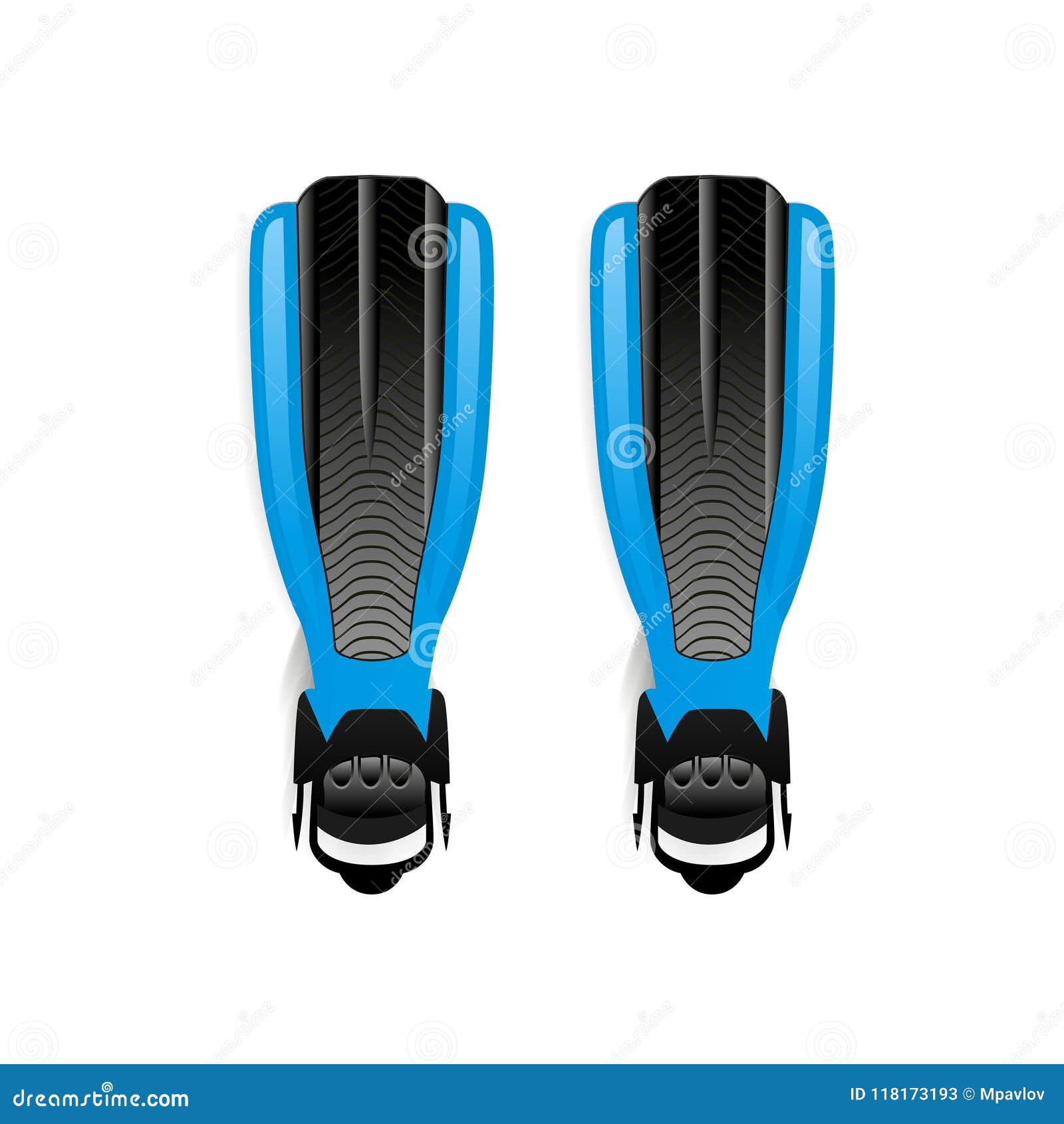 Flippers Vector Illustration Isolated on White Stock Vector ...