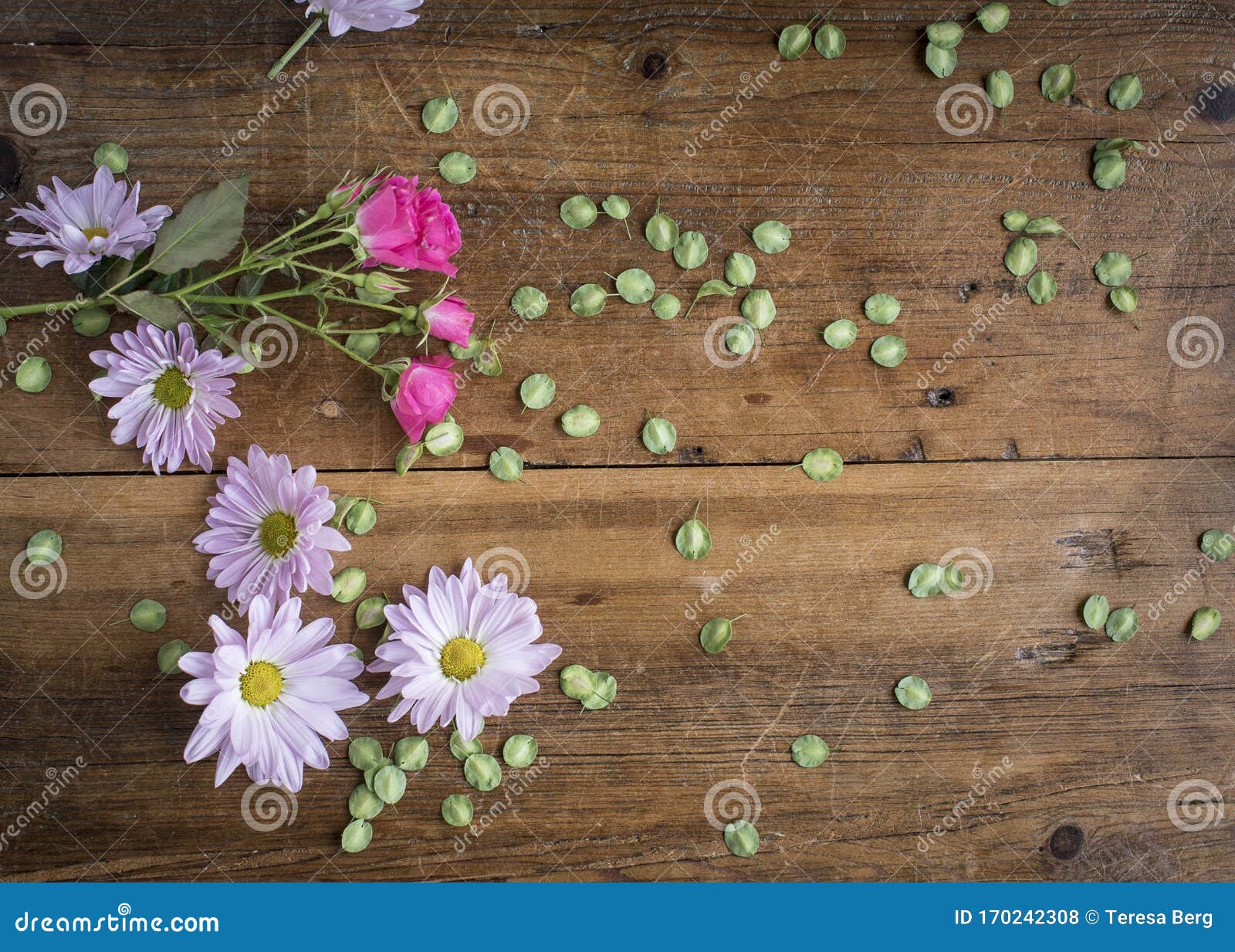 Close Up of Pine Wood Table As Spring Daisies and Roses are Scattered ...