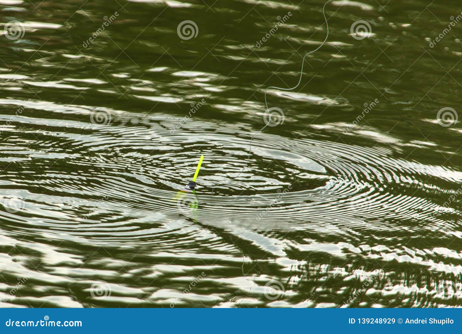 Float for Catching Fish on the Surface of Water Stock Image - Image of ...