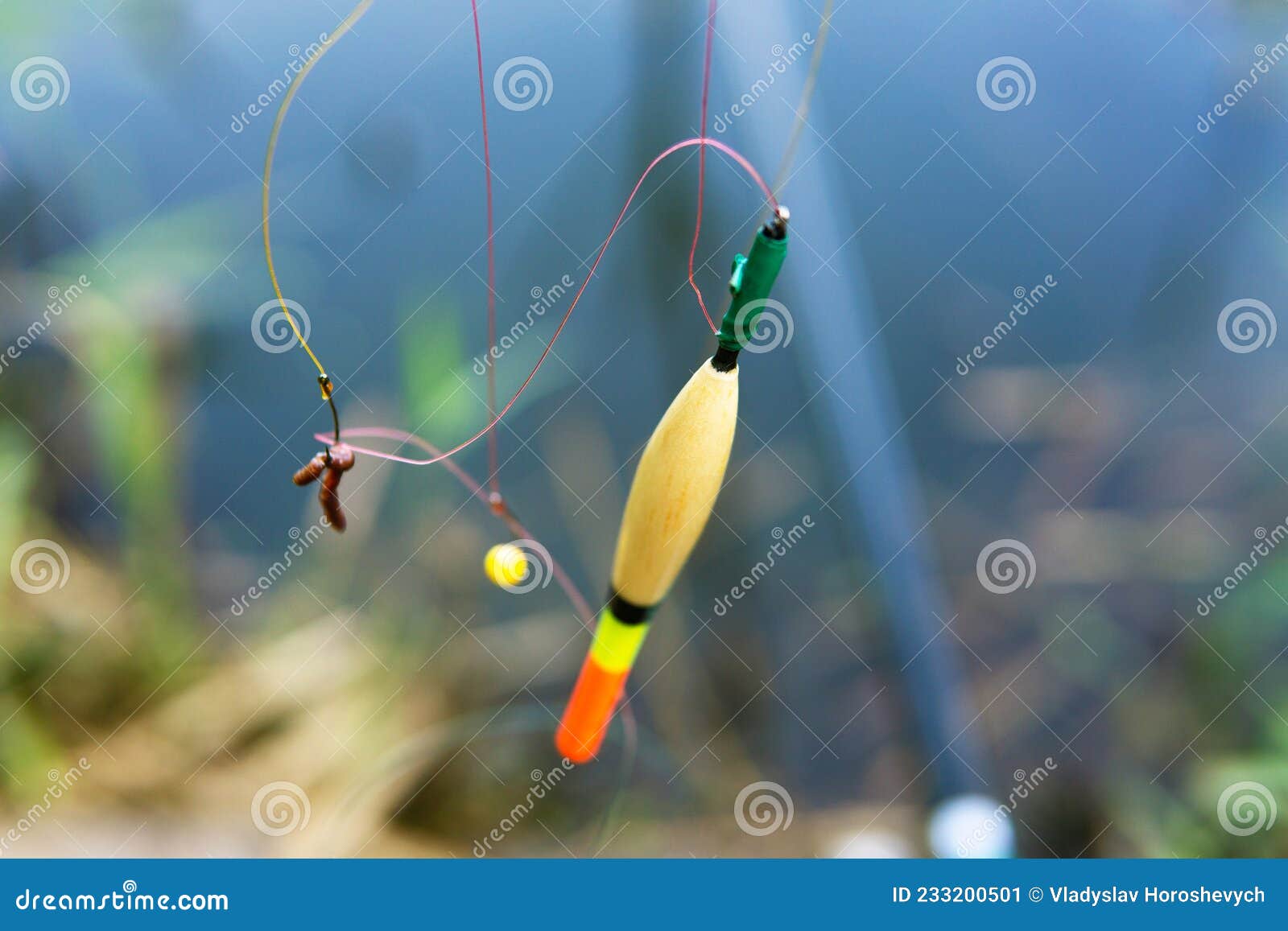 Float and Fishing Hooks with Bait Hanging on a Fishing Line Stock Image ...
