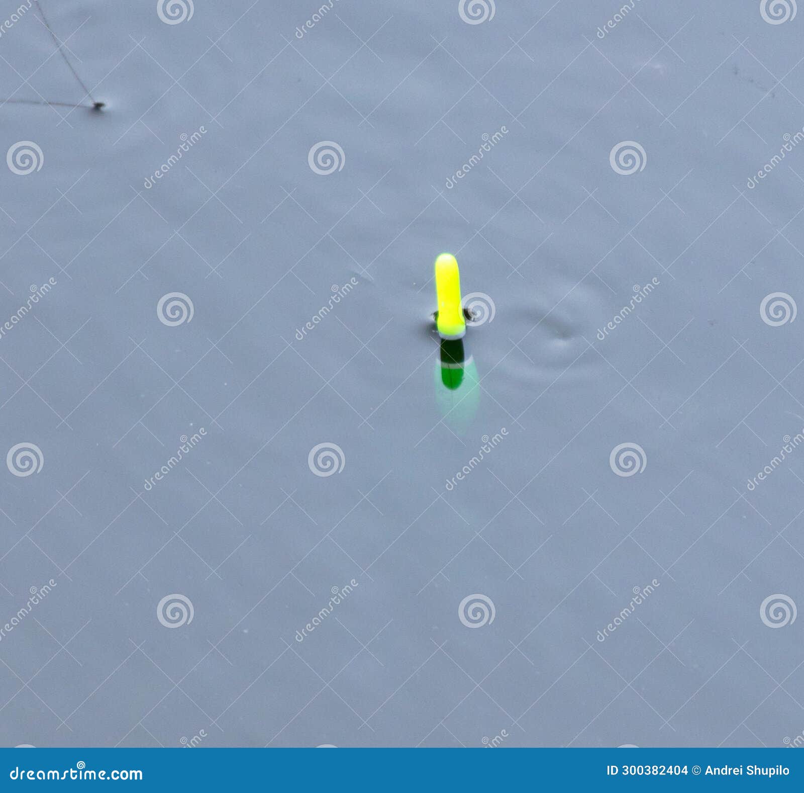 Float from a Fishing Rod on the Water Stock Photo - Image of pond ...