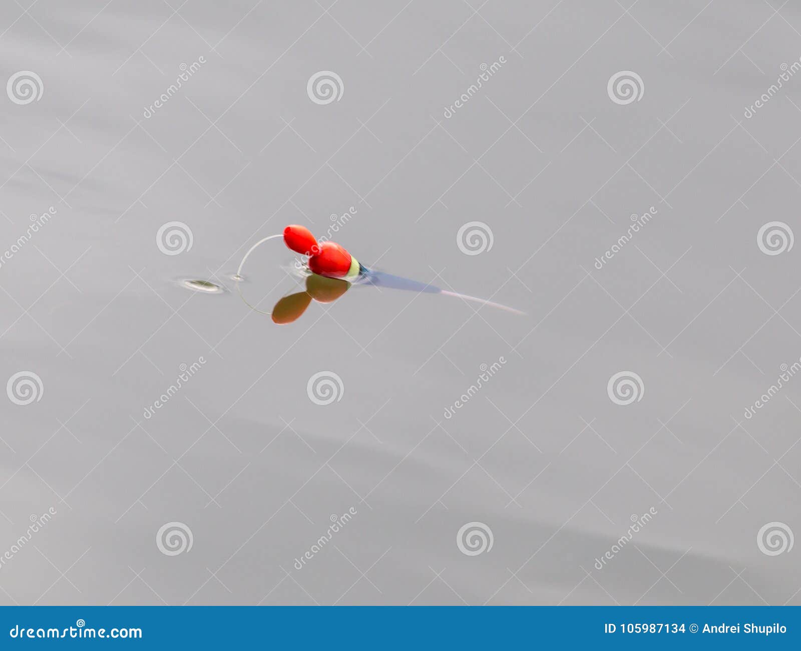 Float for Fishing on the Surface of the Water Stock Photo - Image of ...
